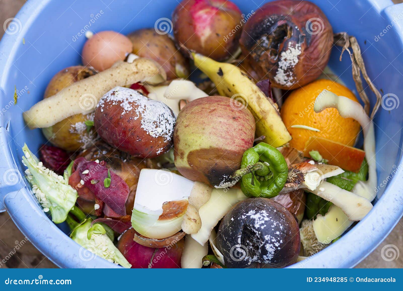 Organic food waste stock image. Image of meal, green - 234948285