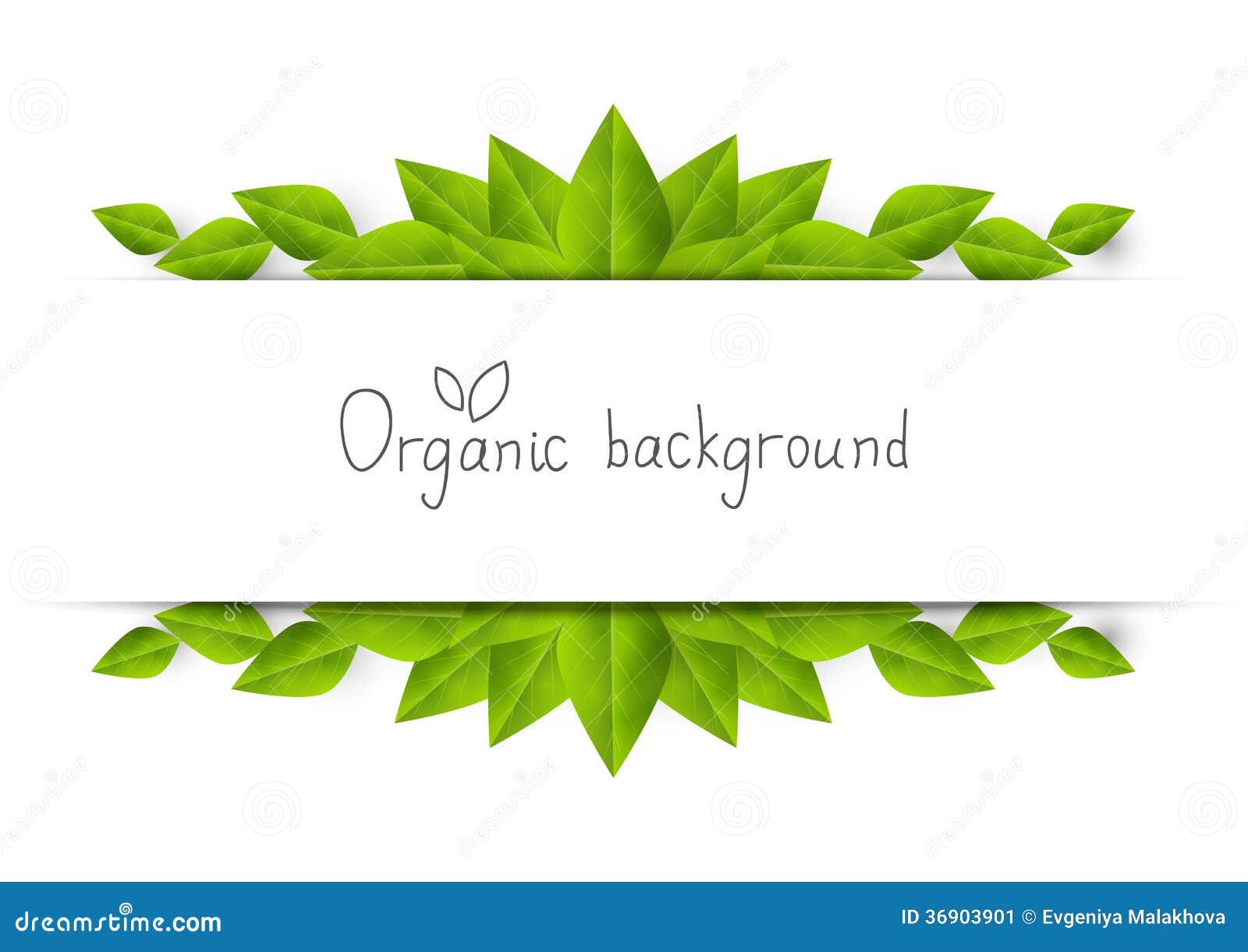 Organic frame stock vector. Illustration of element, green - 36903901