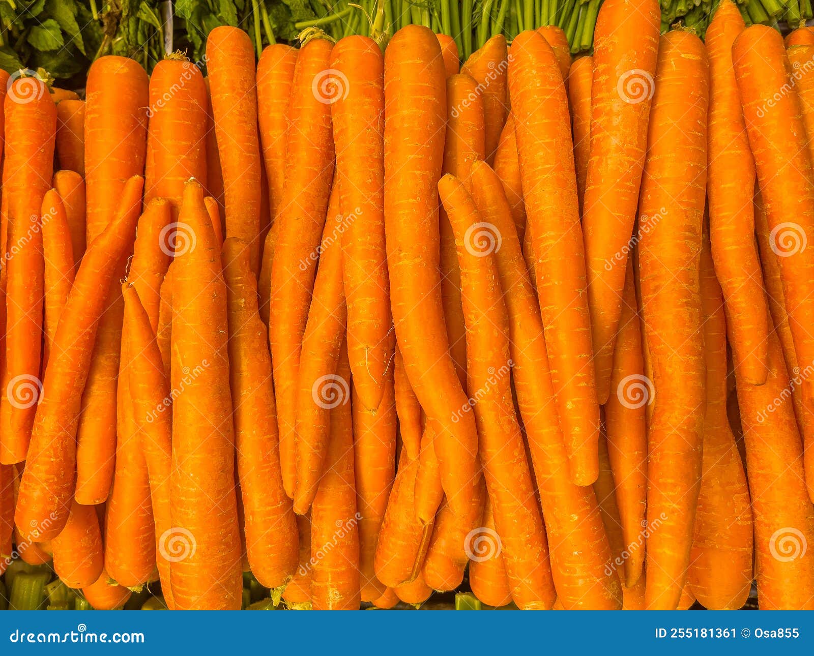 Organic Fresh Carrots on Display at Supermarket Stock Image - Image of ...