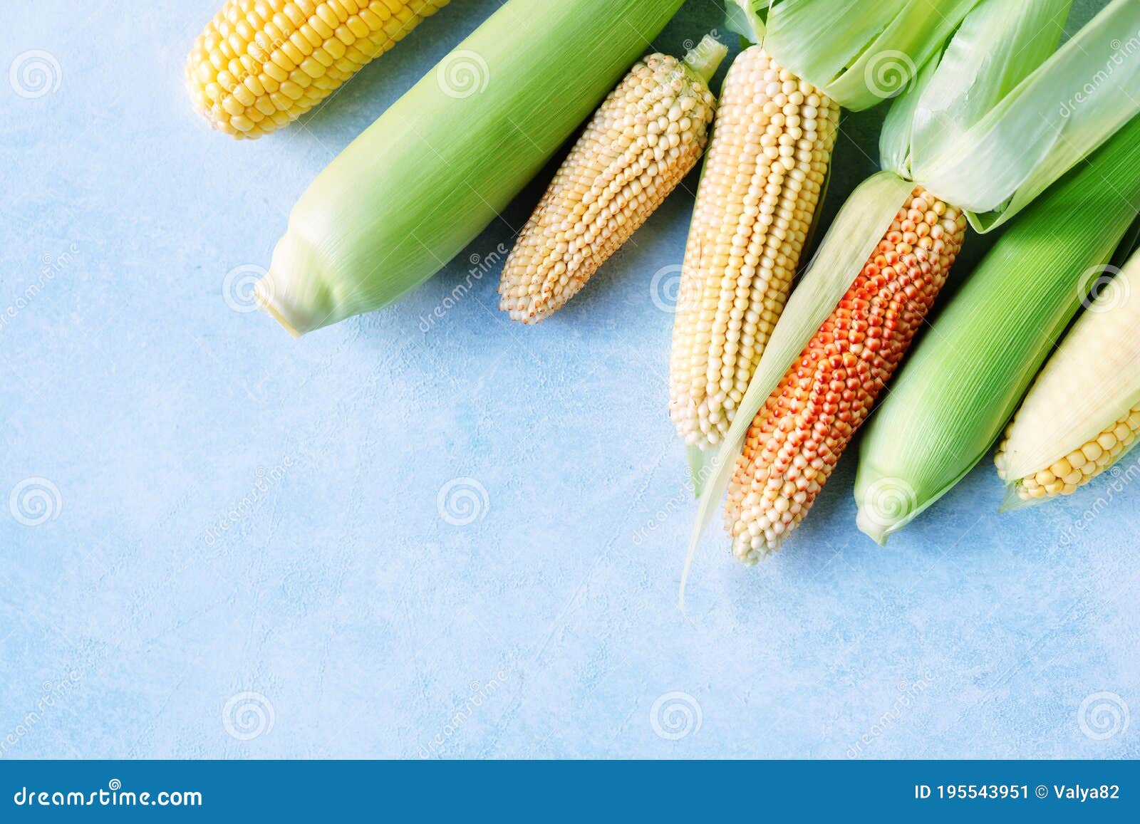 Organic Fresh Cobs of Various Corn Stock Image - Image of ingredient ...