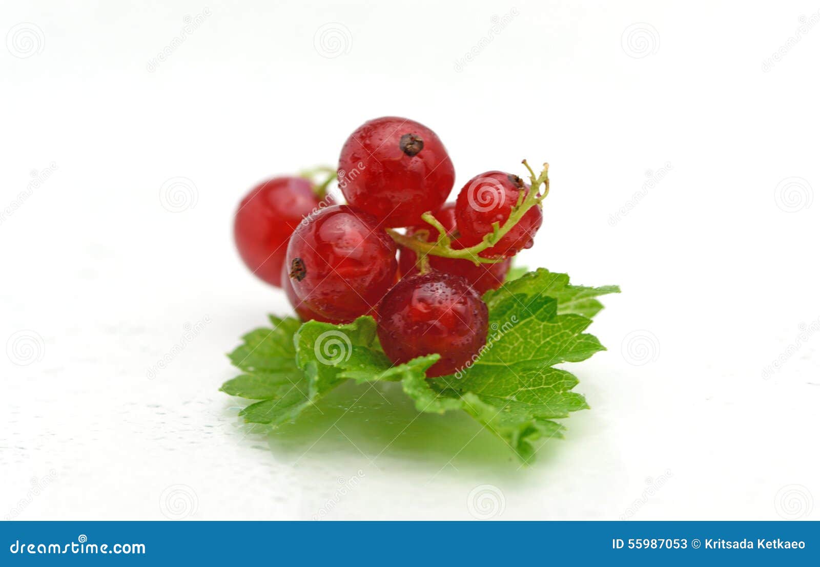 Organic Fresh Delicious Redcurrant Berry Stock Image - Image of organic ...