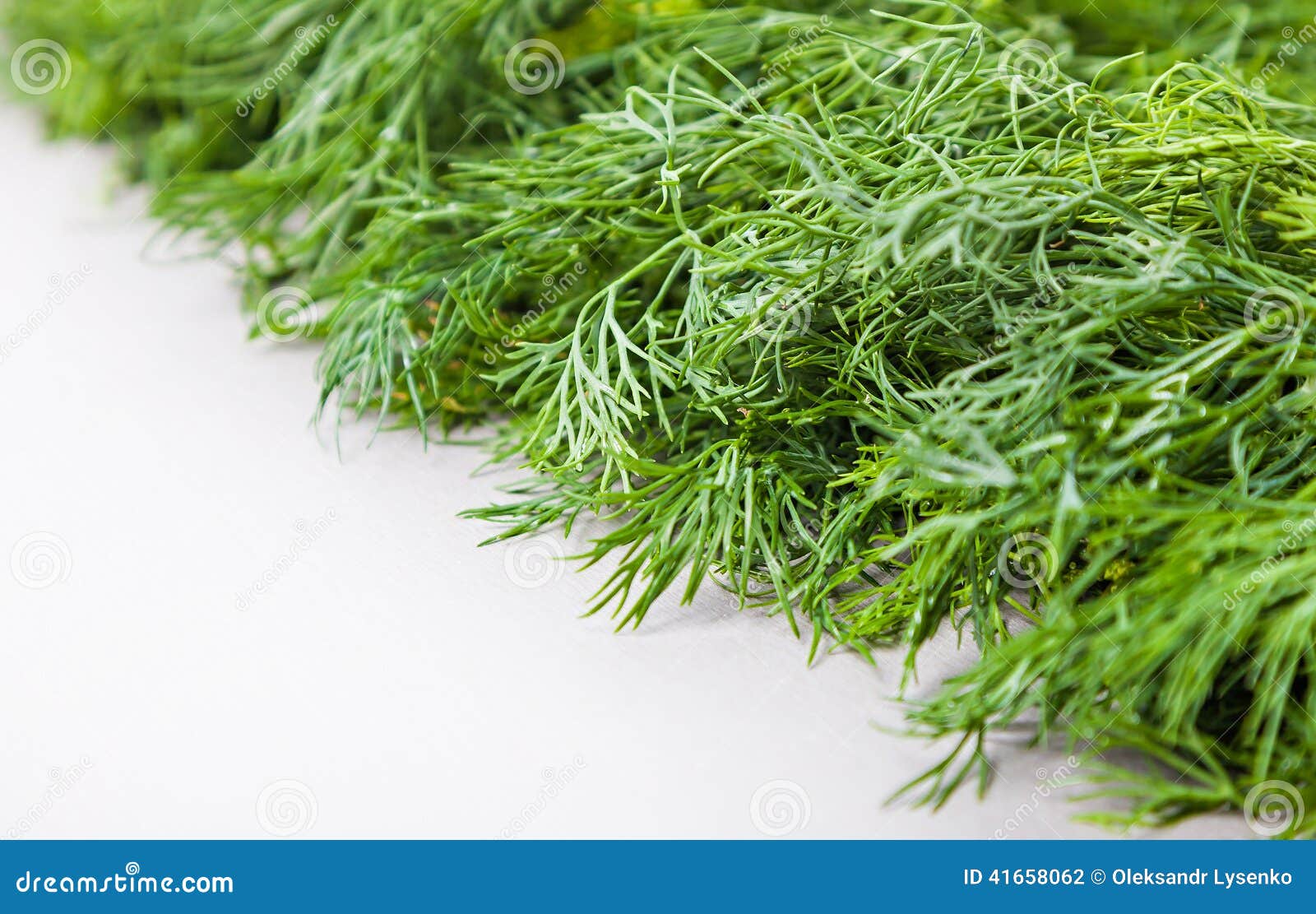 Organic fresh dill stock photo. Image of vegetable, aromatic - 41658062