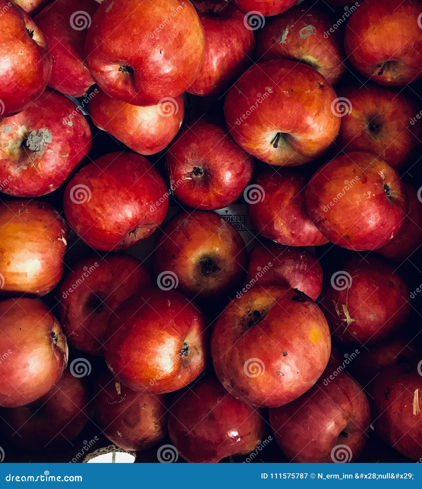 Organic and Fresh Red Apples Stock Image - Image of apples, healthyfood ...