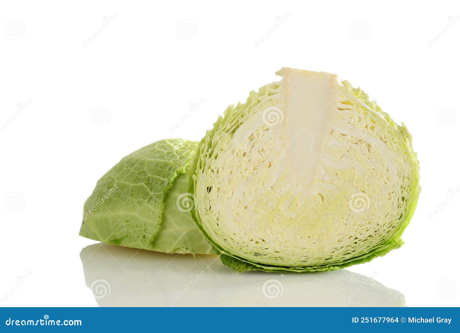 Organic Fresh Savoy Cabbage Half Stock Photo - Image of harvest ...