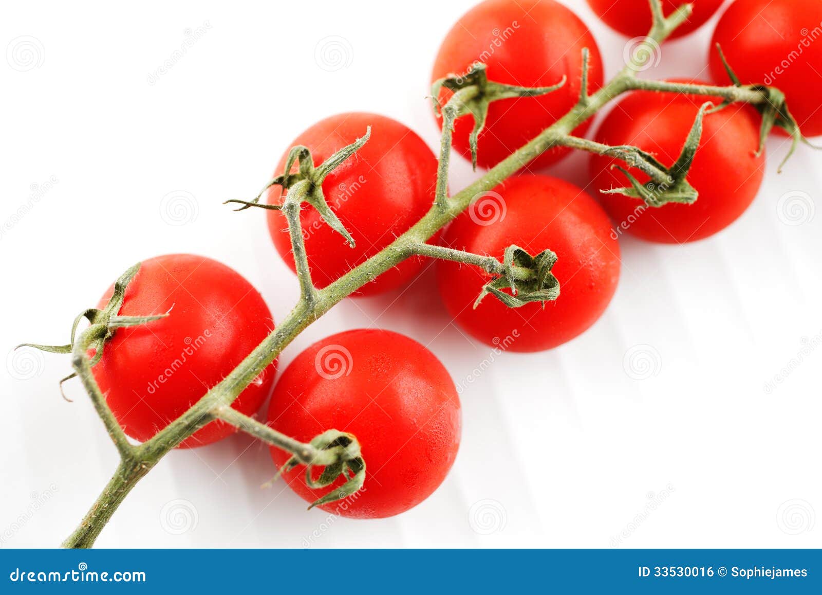 Organic Fresh Tomatoes on the Vine Stock Photo - Image of juicy, diet ...