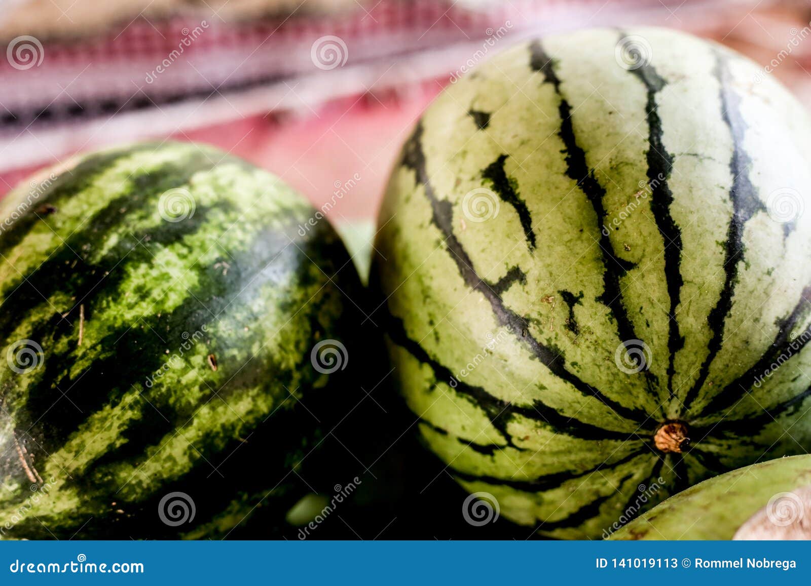 Organic fresh watermelon stock image. Image of vegetable - 141019113