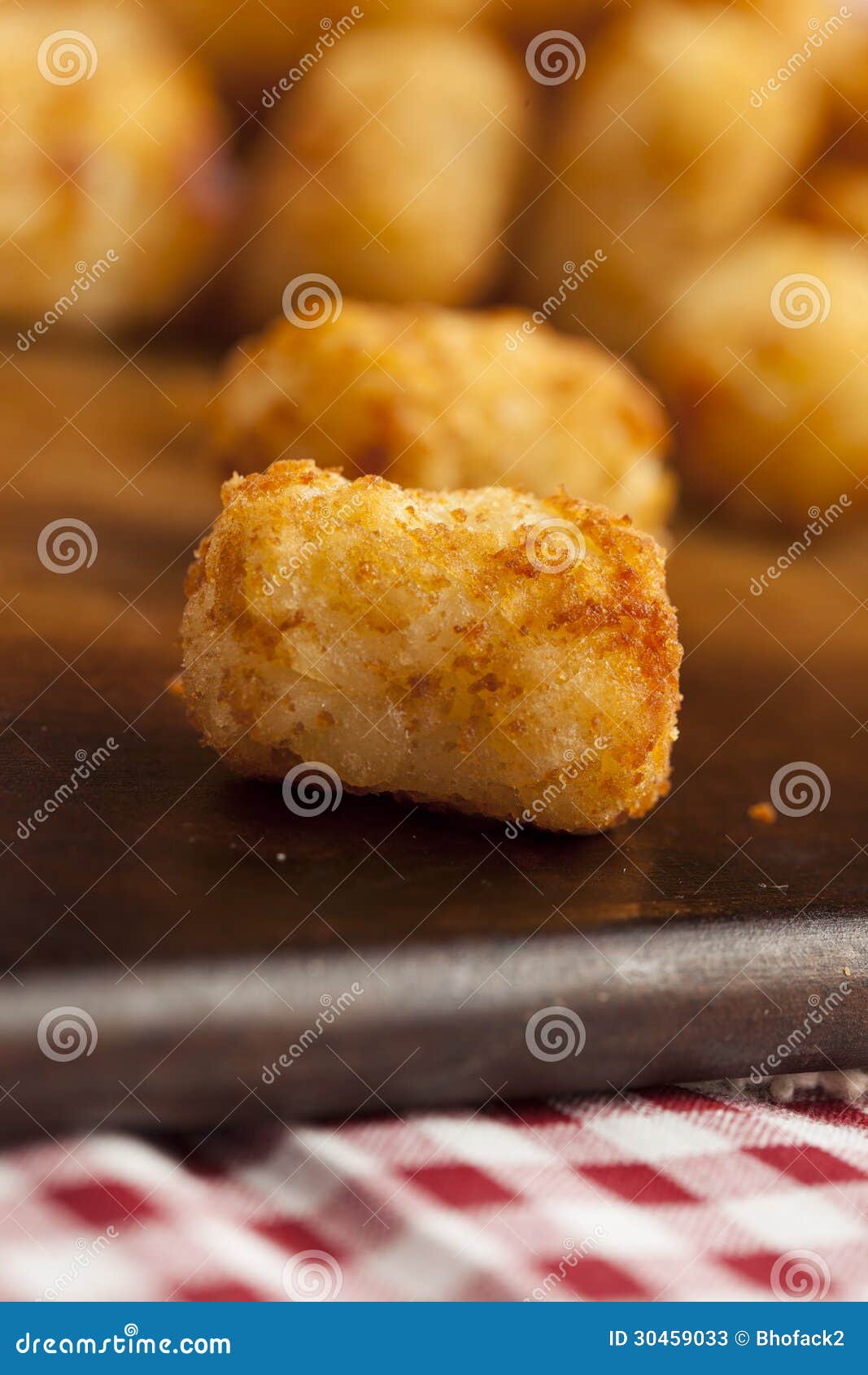 Organic Fried Tater Tots stock image. Image of food, toasted - 30459033