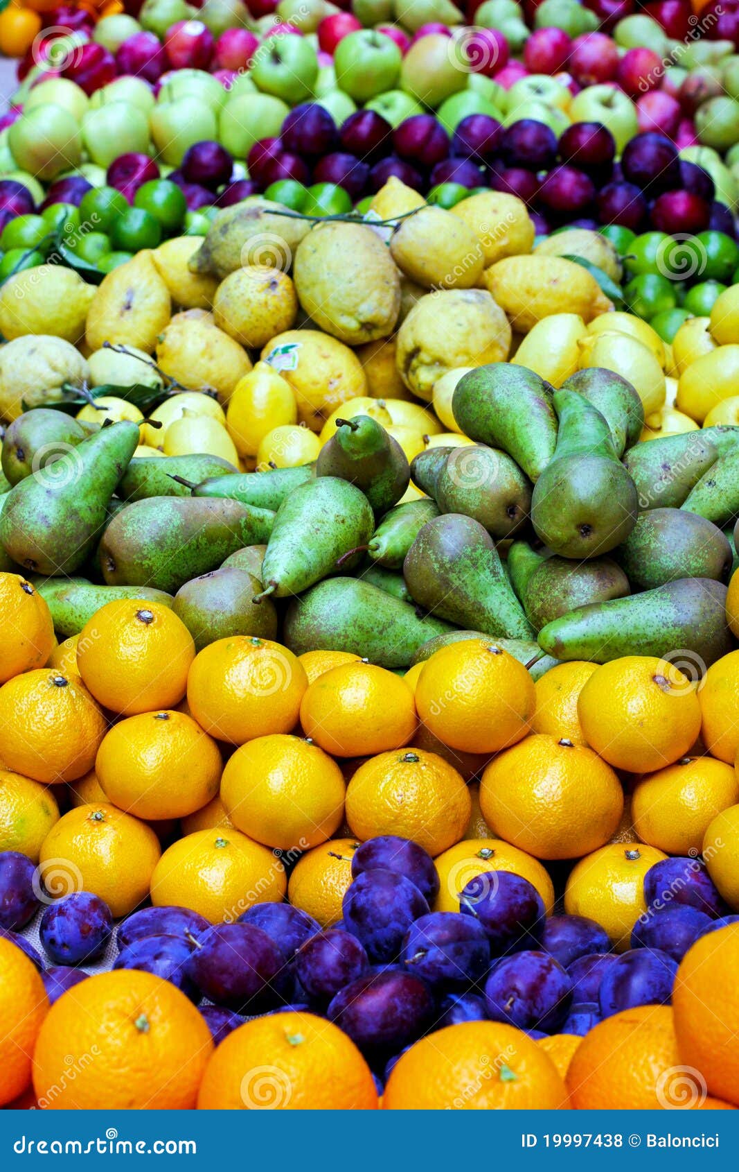 Organic fruit stock photo. Image of lemon, fruits, lime - 19997438