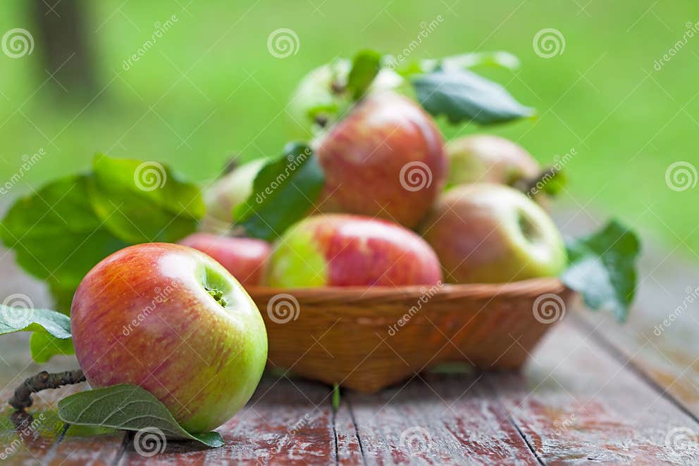 Organic fruit stock image. Image of food, rustic, freshness - 42854161