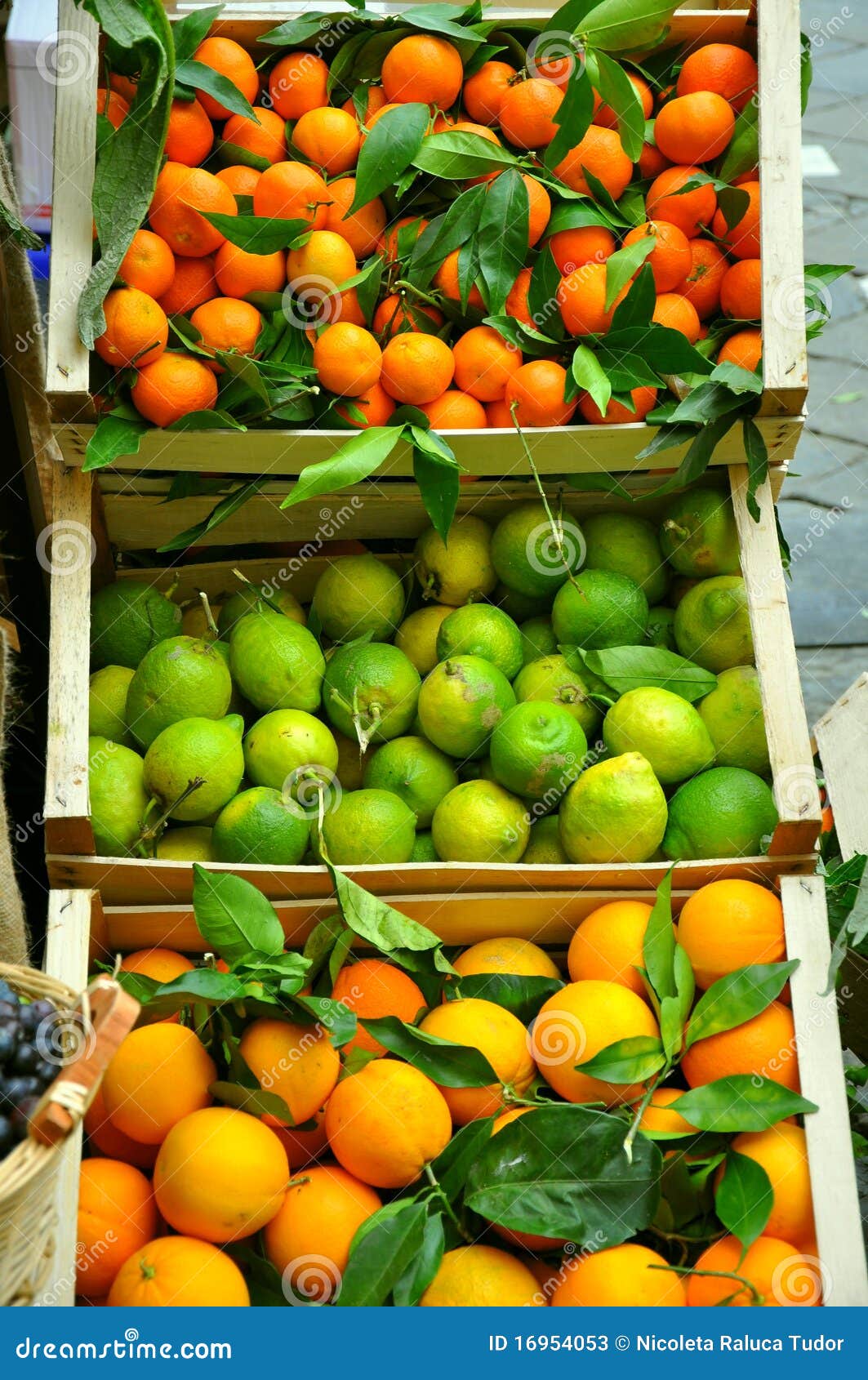 Organic fruit market stock image. Image of bright, countryside - 16954053