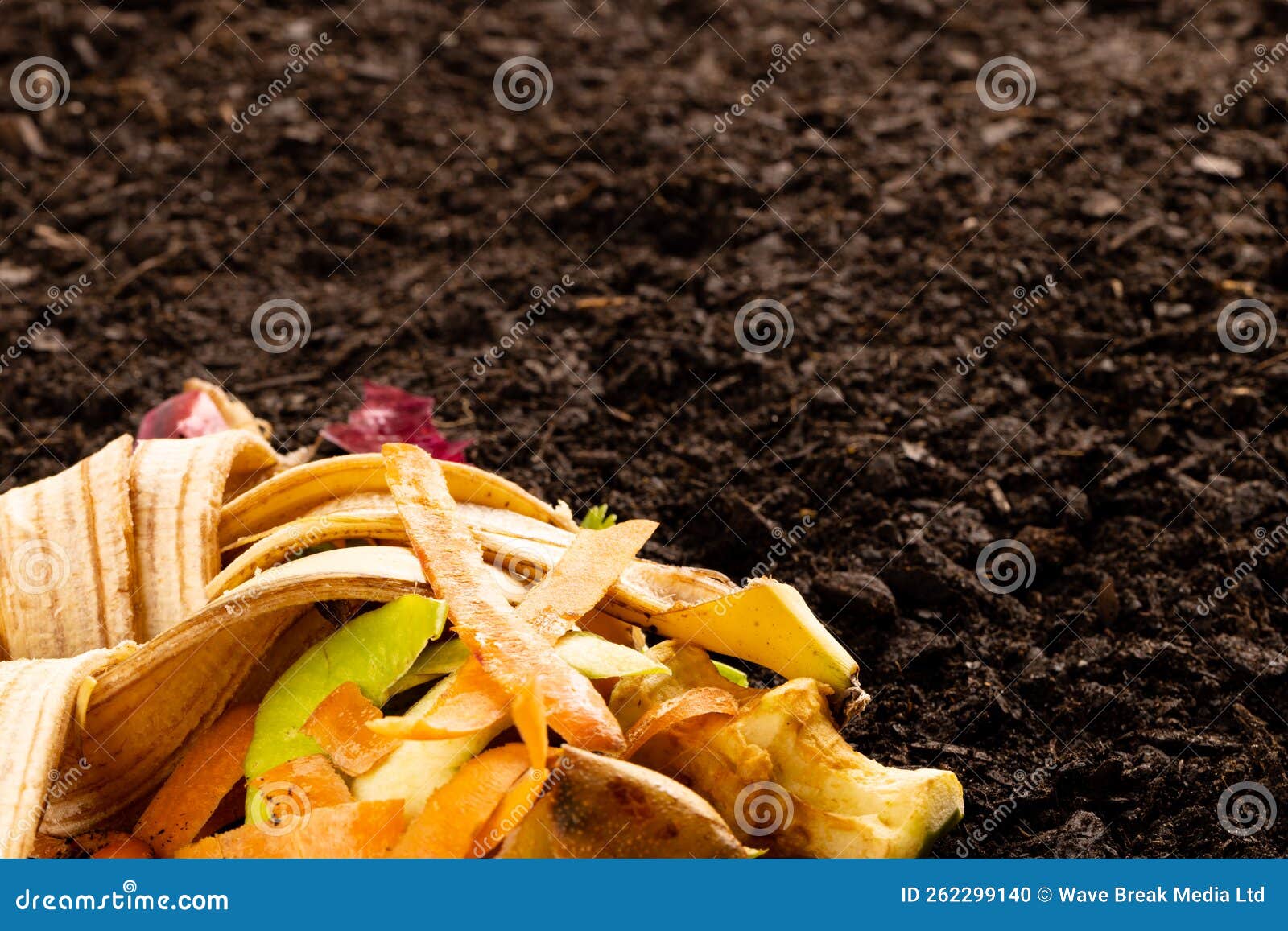 Organic Fruit and Vegetable Waste for Composting on Dark Soil, with ...