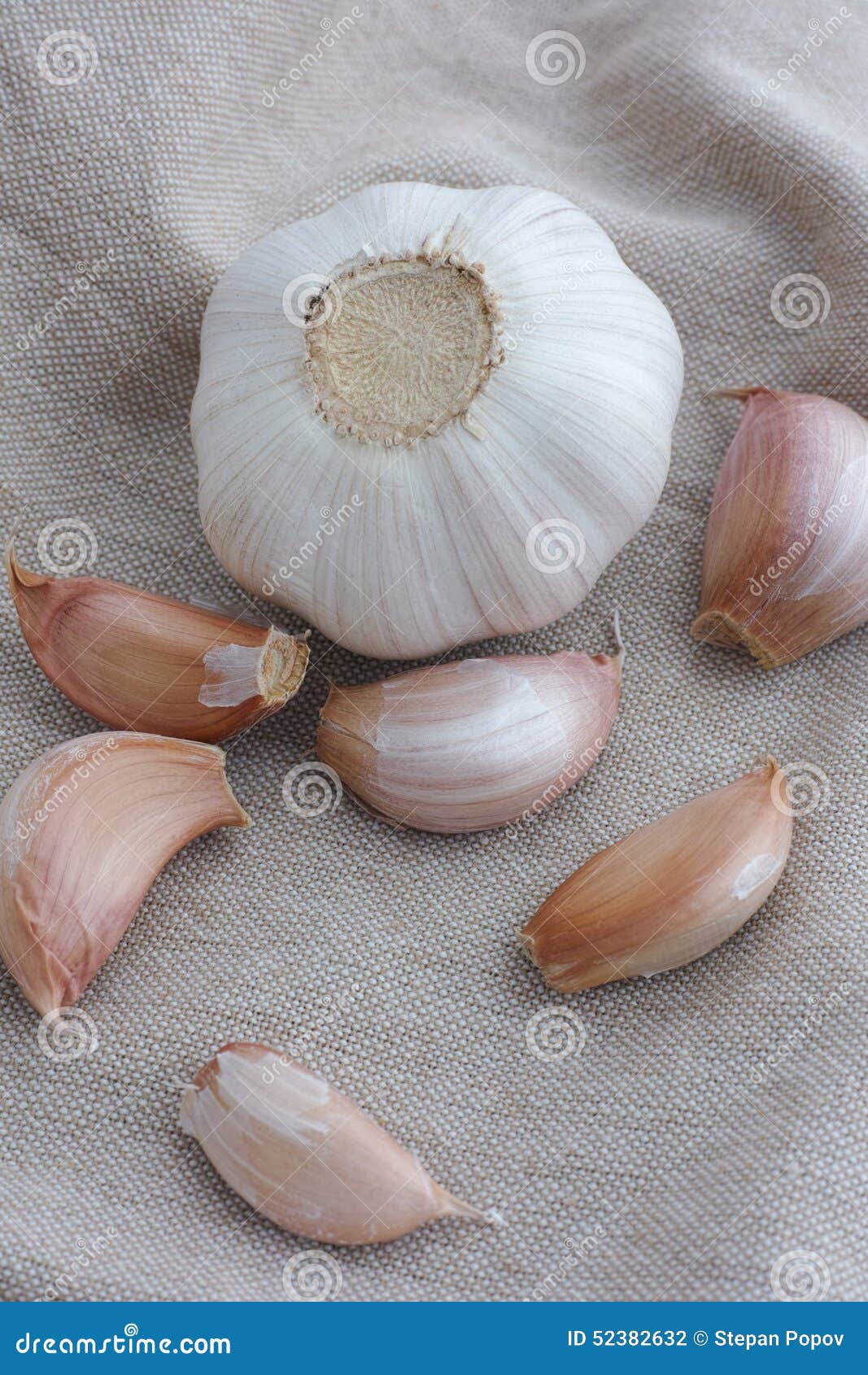 Organic garlic stock photo. Image of herb, ingredient - 52382632