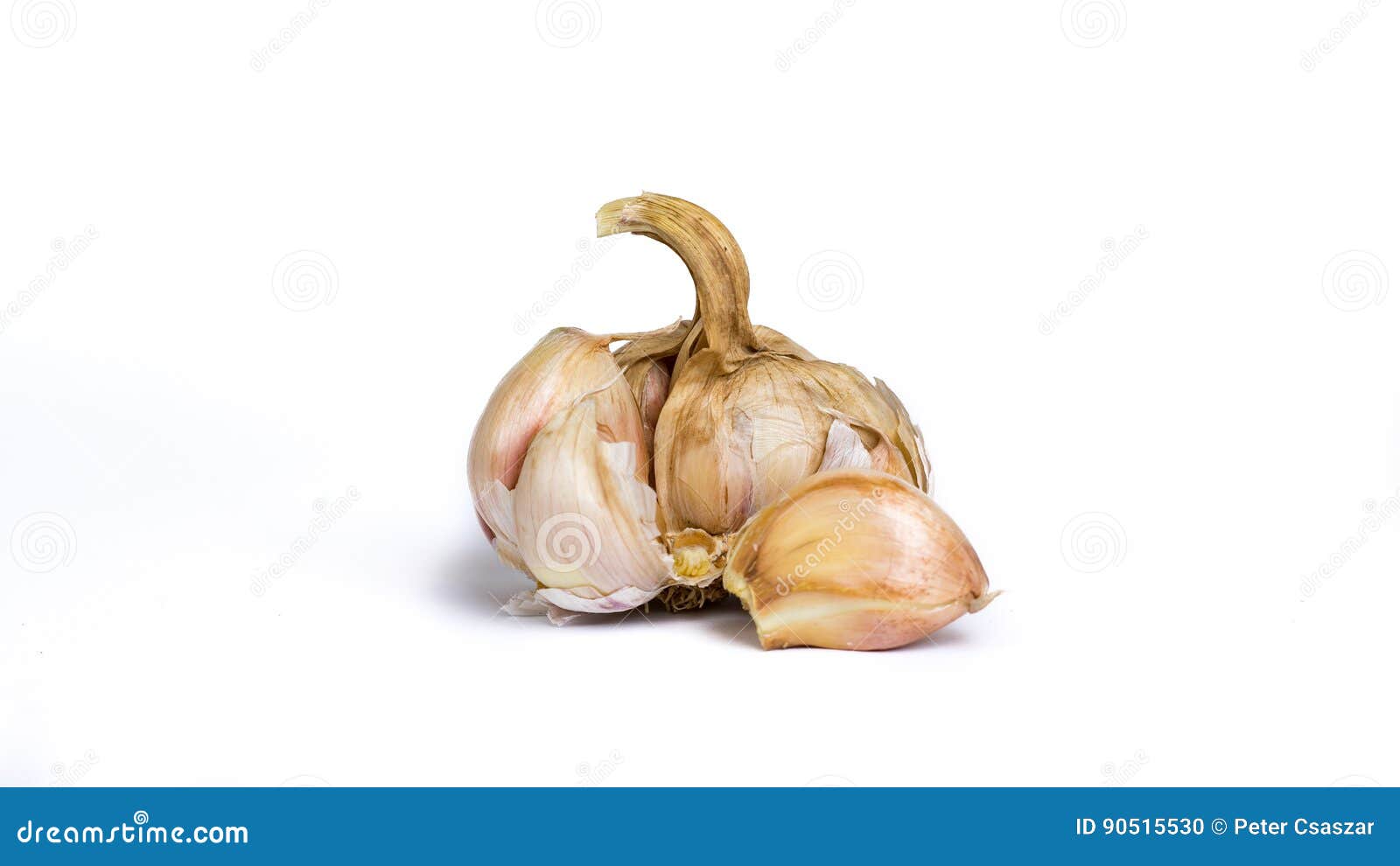 Organic Garlic stock photo. Image of garlic, view, food - 90515530