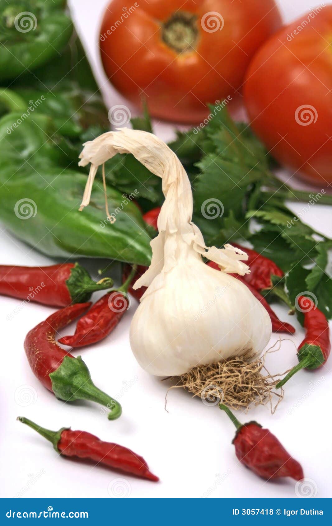 Organic Garlic and Vegetables Stock Photo - Image of diet, paprika: 3057418