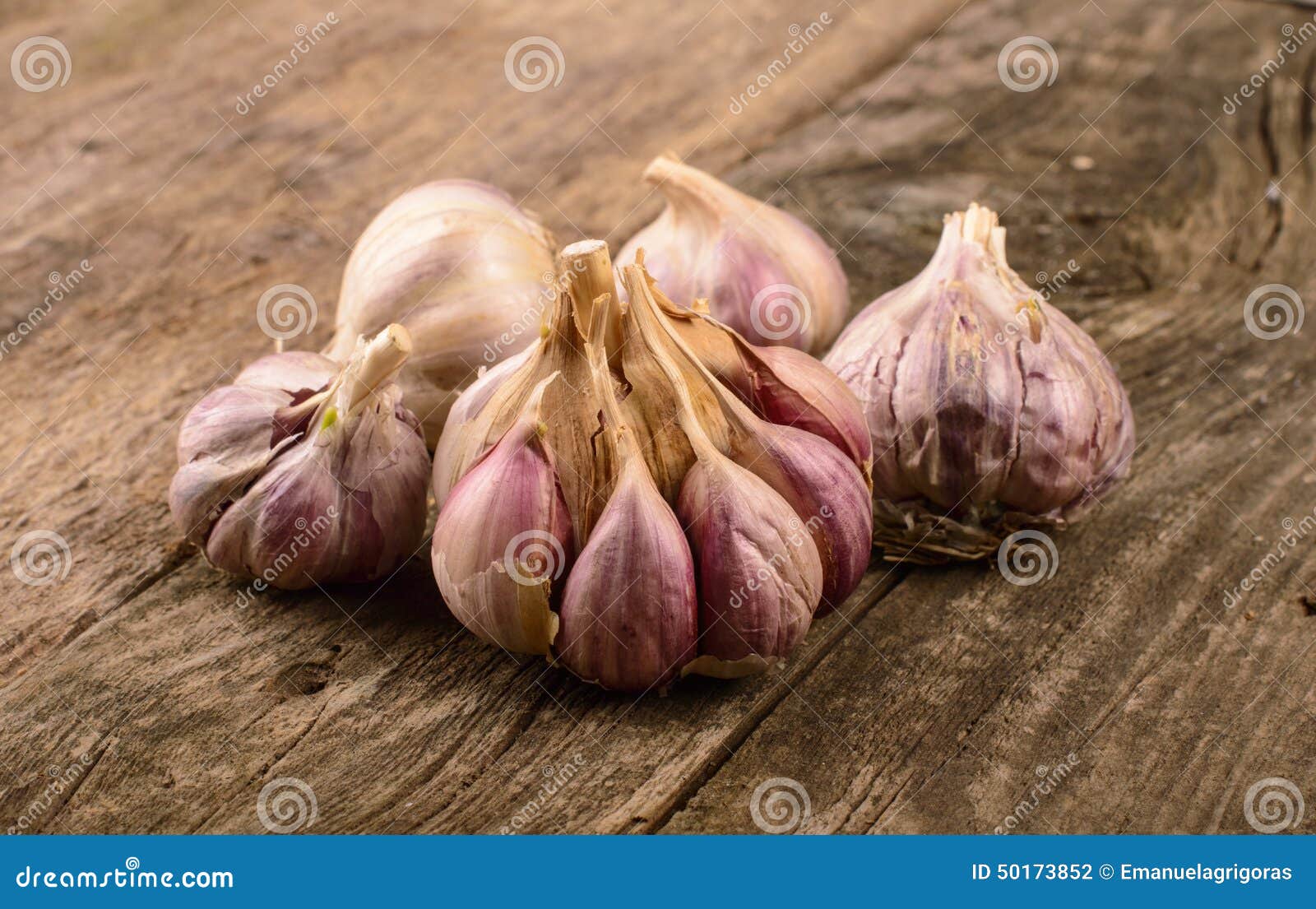 Organic garlic whole stock photo. Image of natural, fresh - 50173852