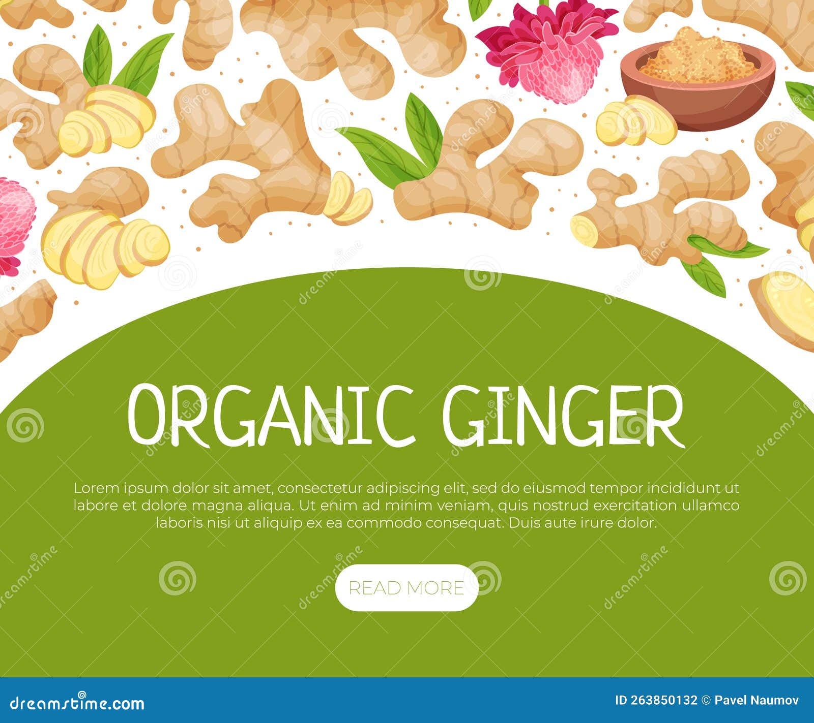 Organic Ginger Design with Root and Blooming Flower Vector Template ...