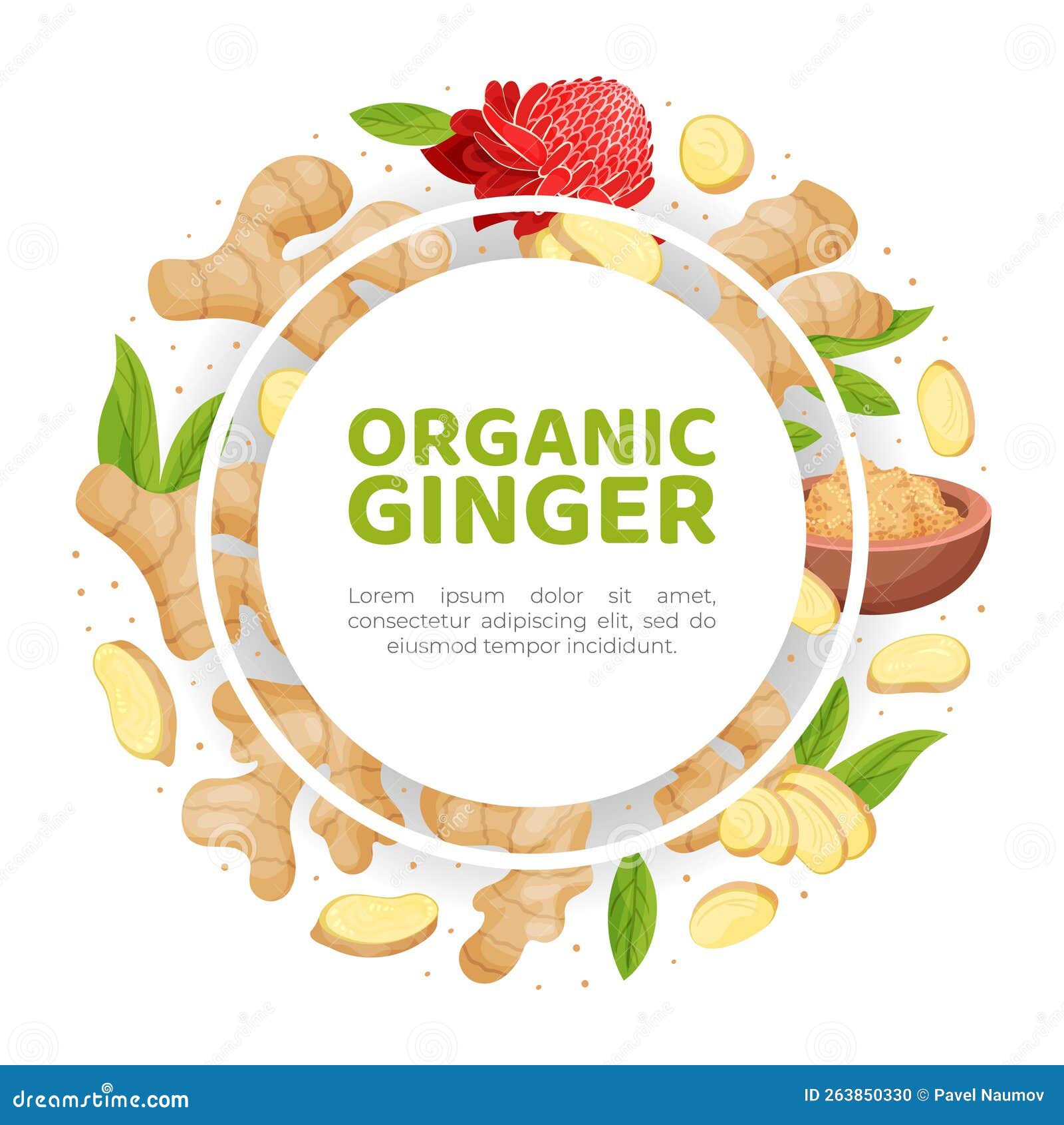 Organic Ginger Design with Root and Blooming Flower Vector Template ...