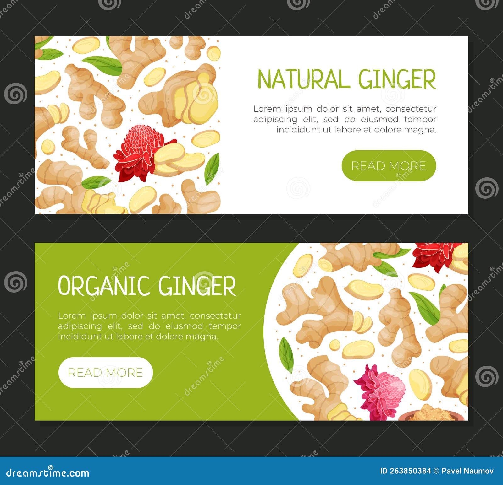Organic Ginger Design with Root and Blooming Flower Vector Template ...