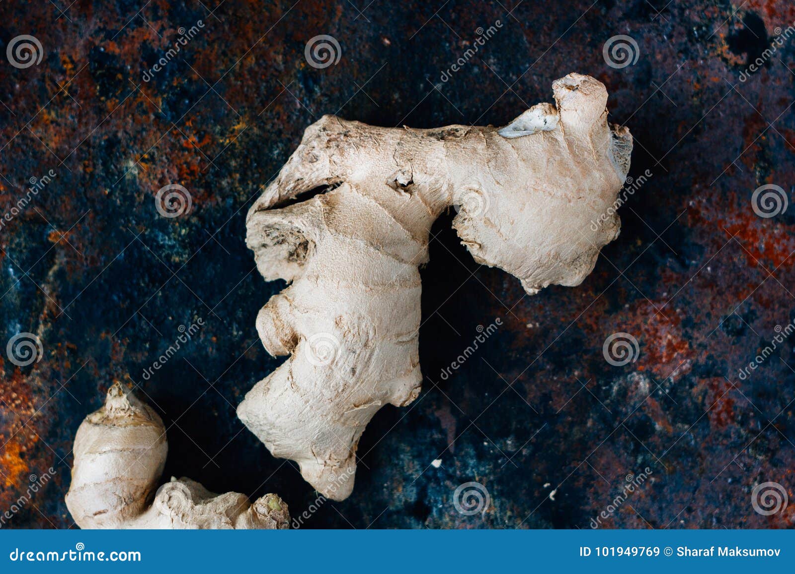Organic ginger root stock image. Image of root, organic - 101949769