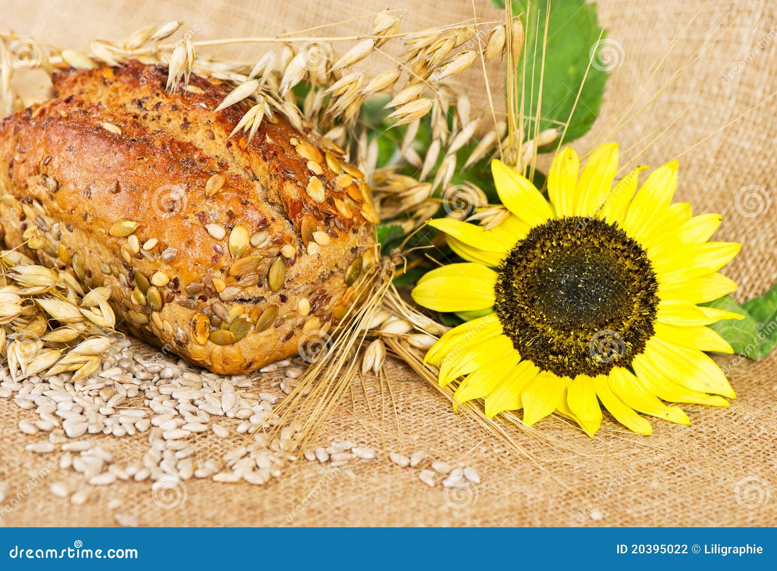 Organic Grain Bread with Sunflower Stock Photo - Image of burlap, vegan ...