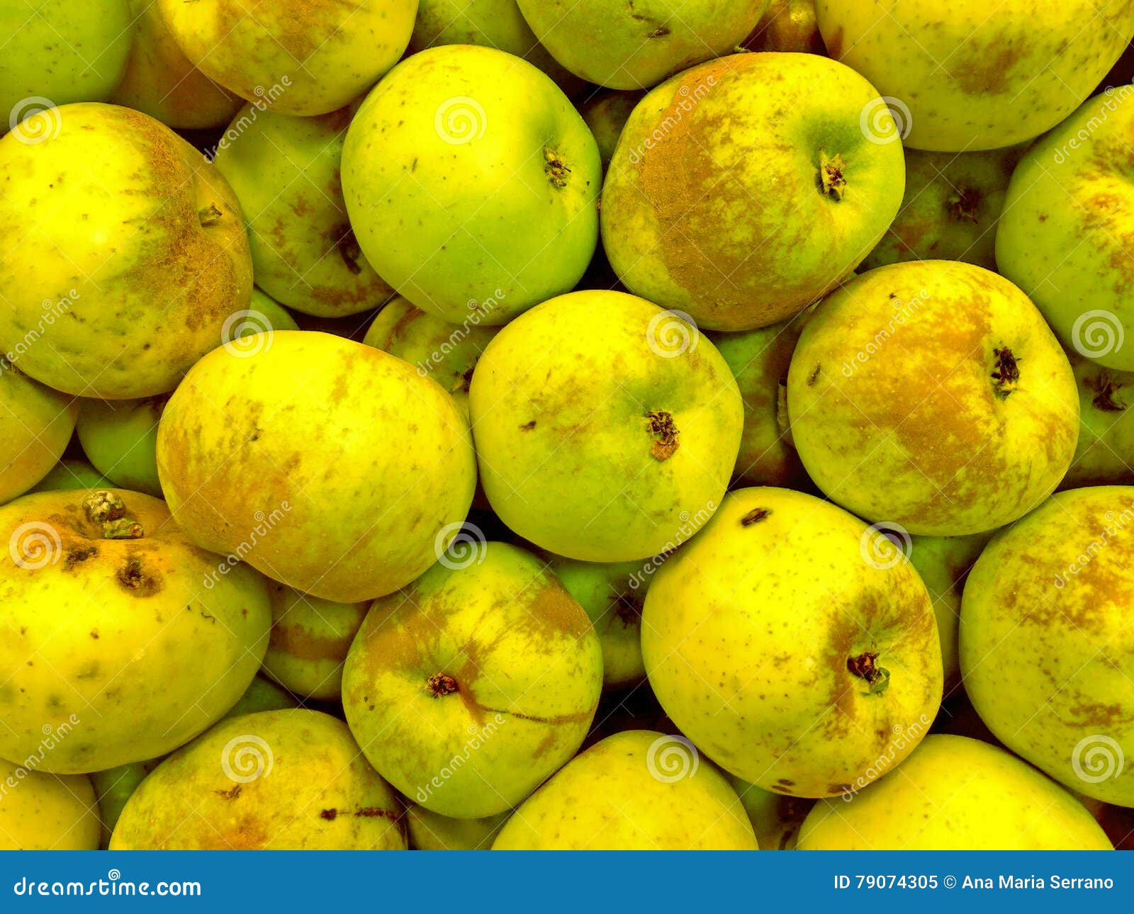 Organic green apples stock image. Image of planting, diet - 79074305