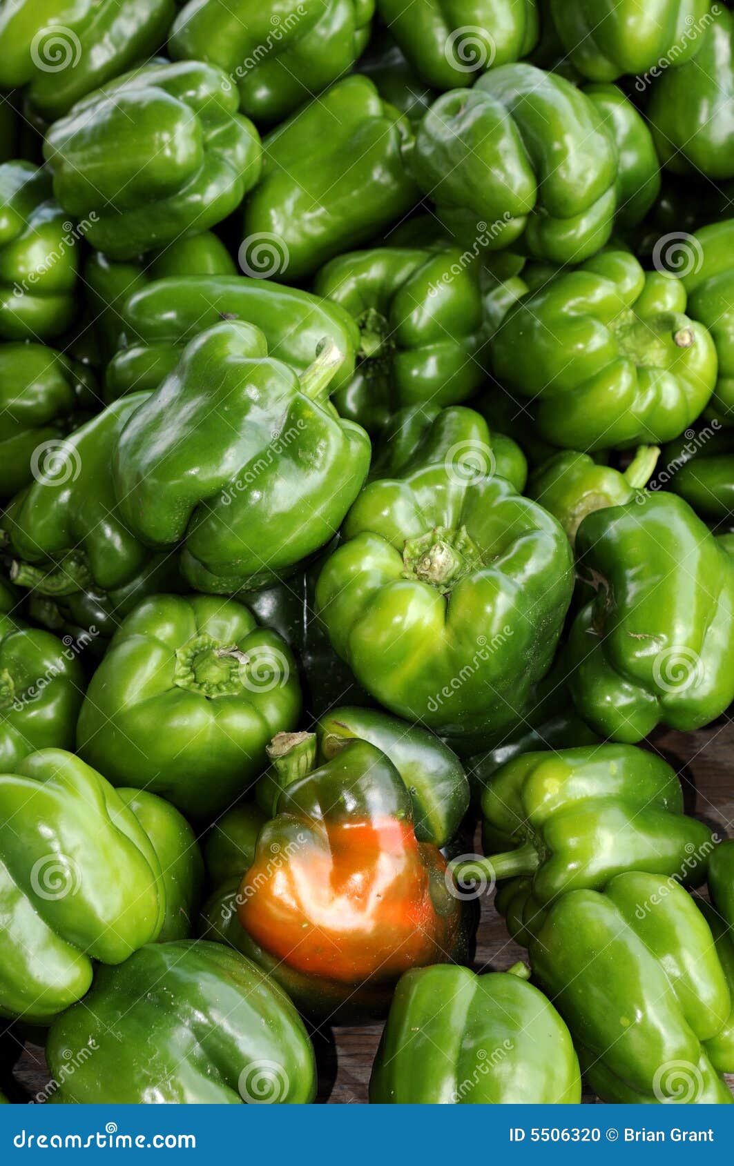 Organic green bell peppers stock photo. Image of delicious - 5506320