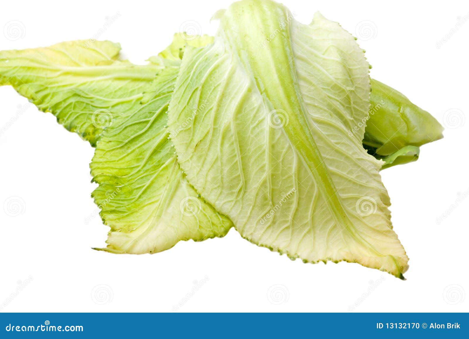 Organic Green Cabbage Natural Leaf Isolated Stock Photo - Image of ...