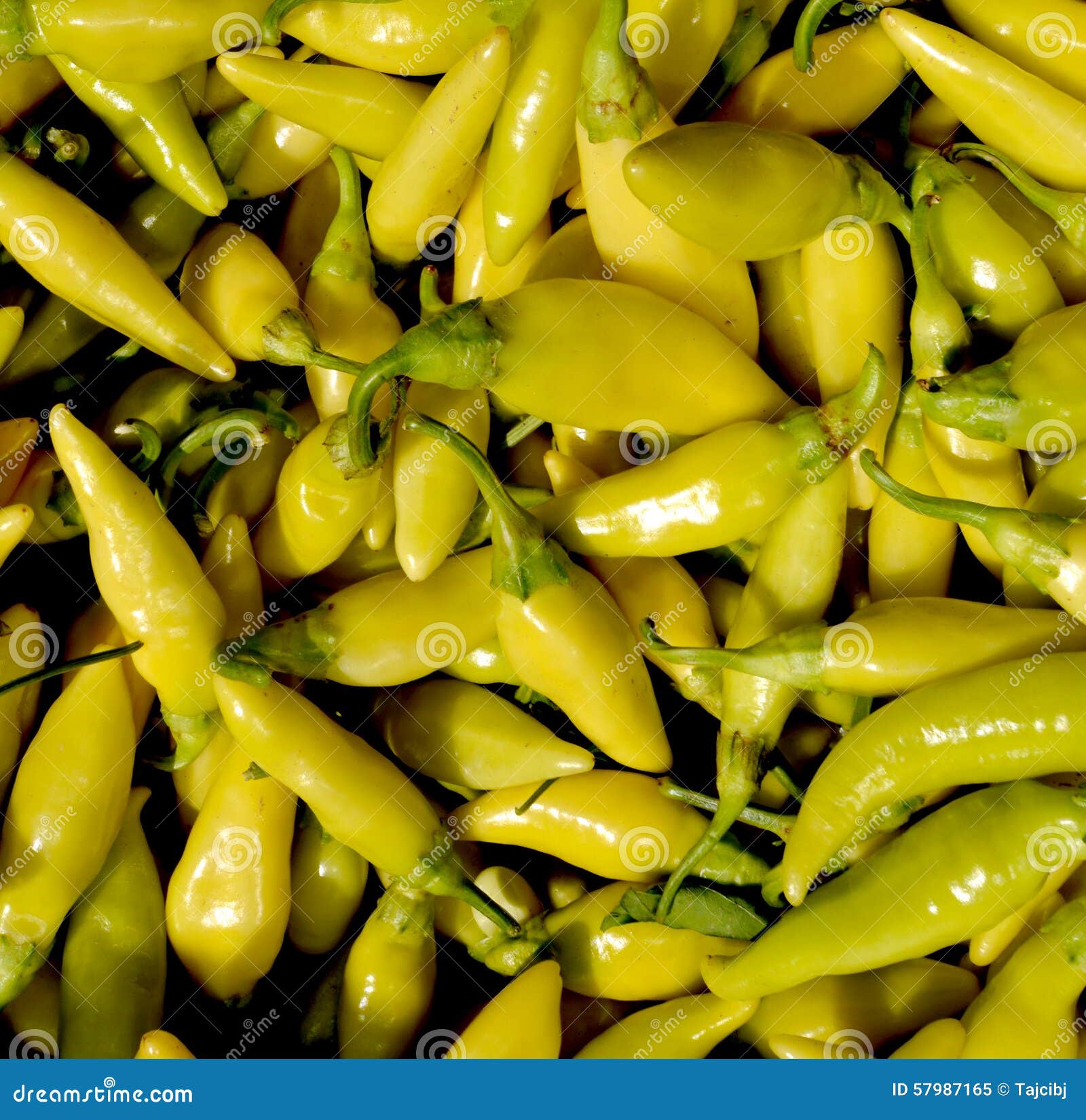 Organic green chilli stock image. Image of kitchen, jalapeno - 57987165