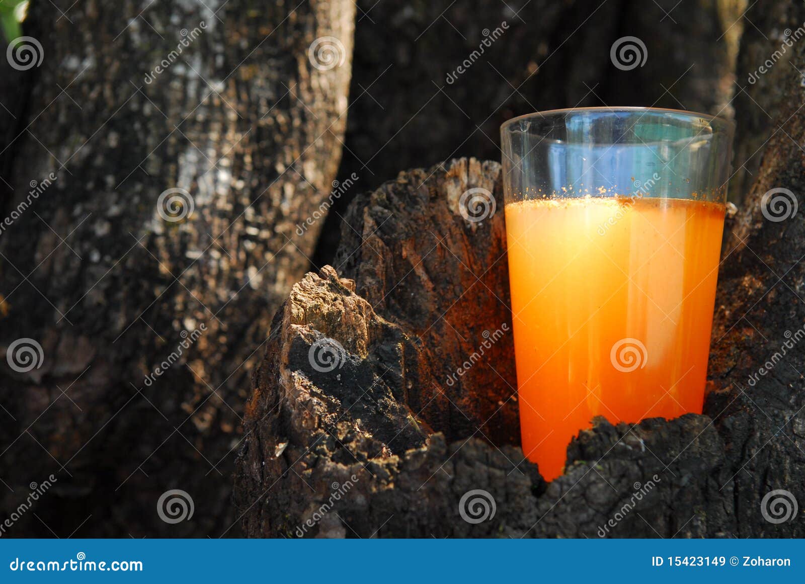 Organic Green Healing Nature Herbs and Vegetables Stock Image - Image ...