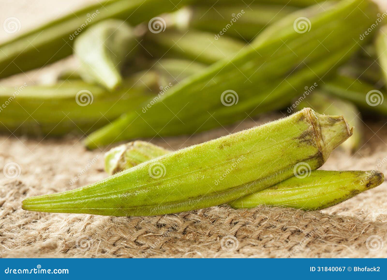 Organic Green Okra Vegetable Stock Image - Image of nature, green: 31840067