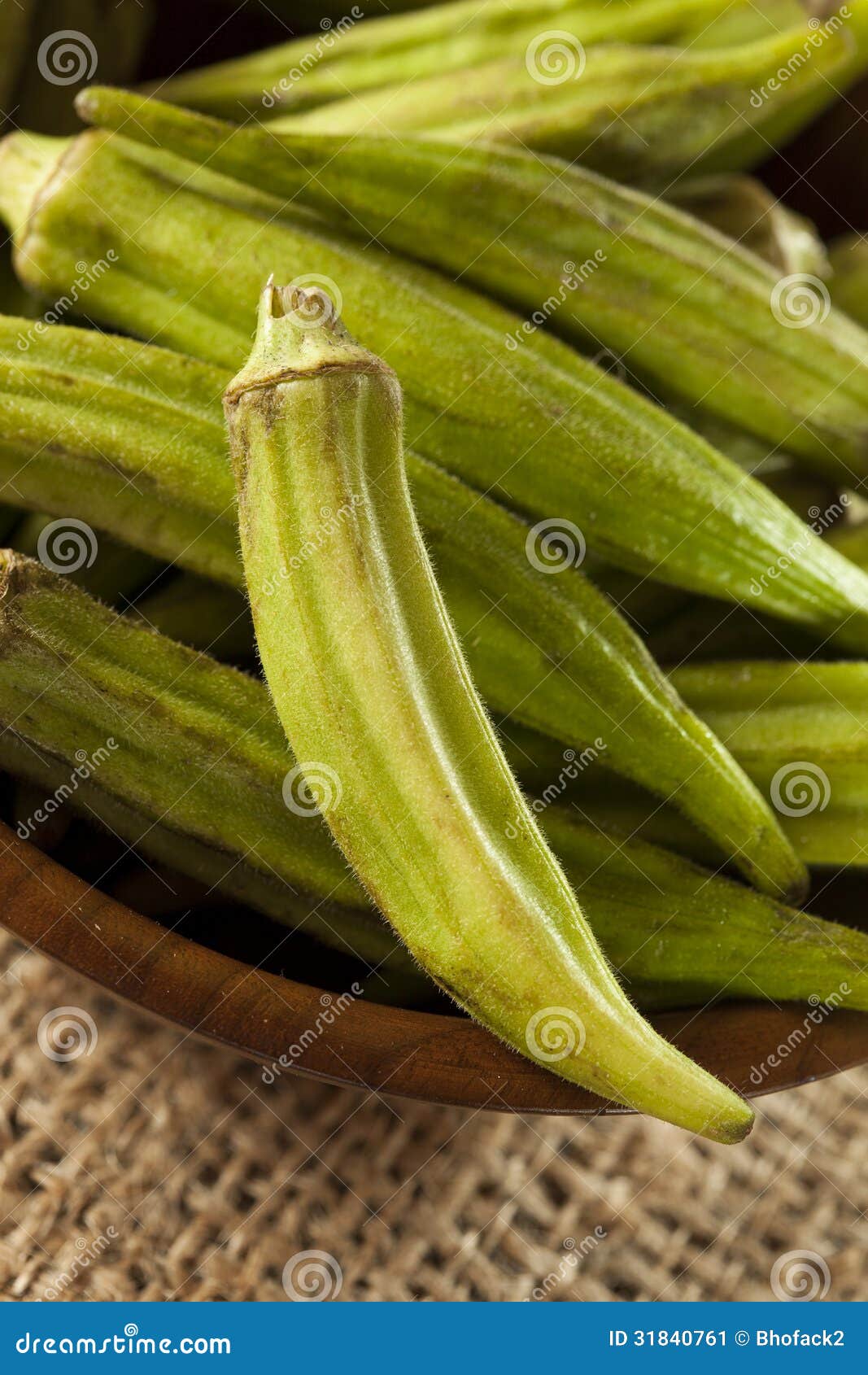 Organic Green Okra Vegetable Stock Image - Image of crop, ingredient ...
