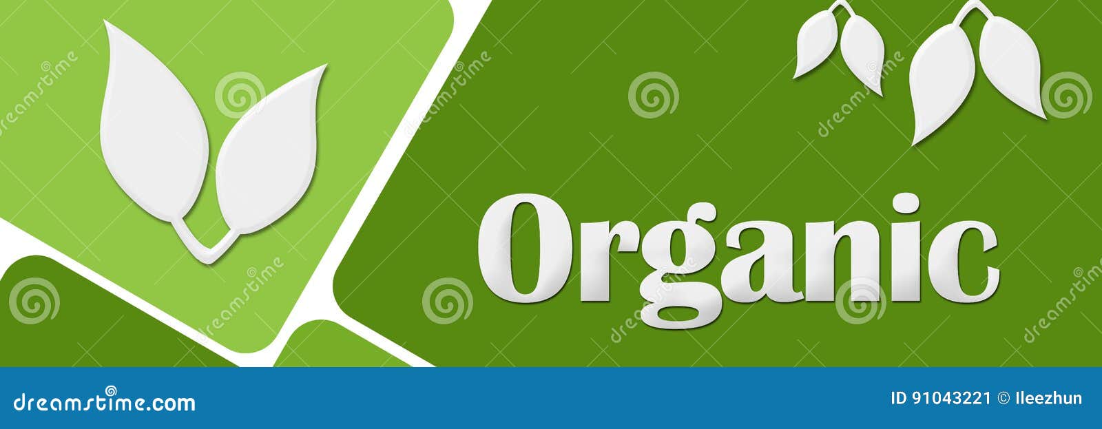 Organic Green Rounded Squares Stock Illustration - Illustration of leaf ...