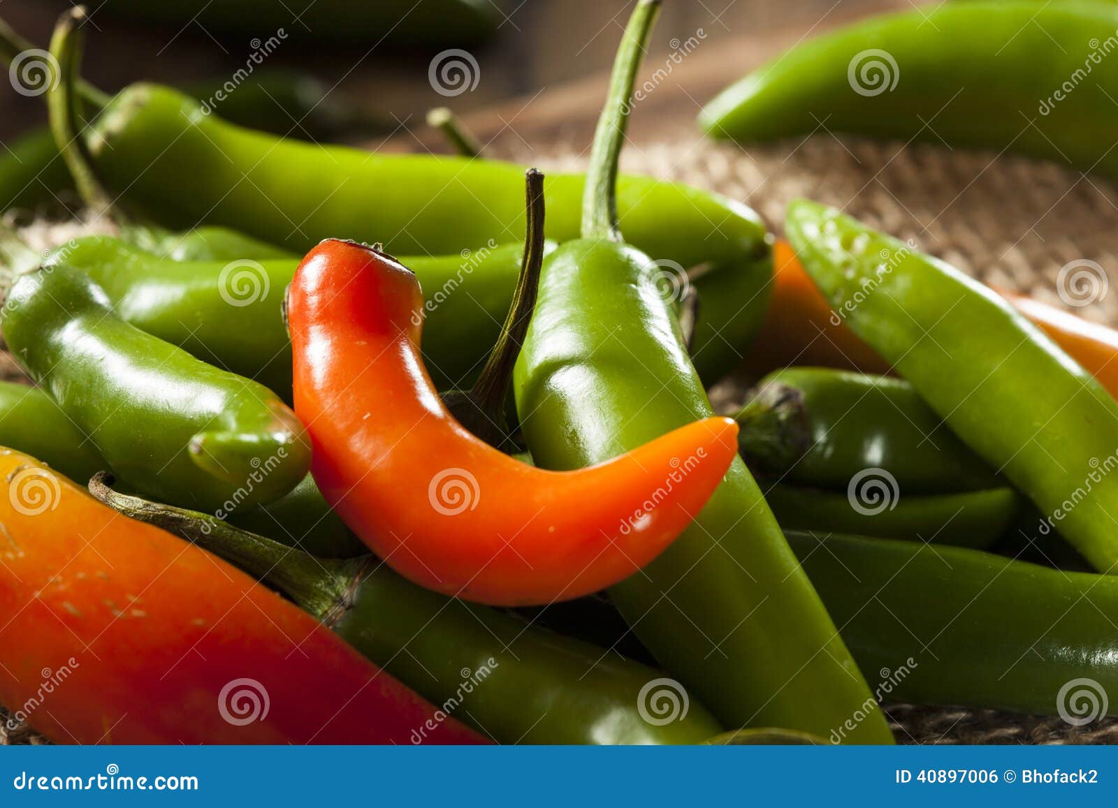 Organic Green Spicy Serrano Peppers Stock Photo - Image of bell, chilli ...