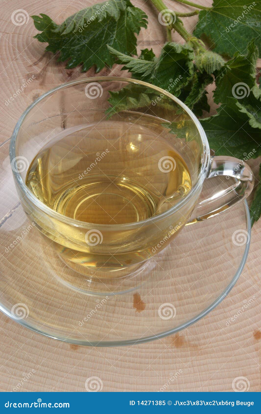 Organic Herbal Tea in a Cup Stock Image - Image of leaf, drink: 14271385