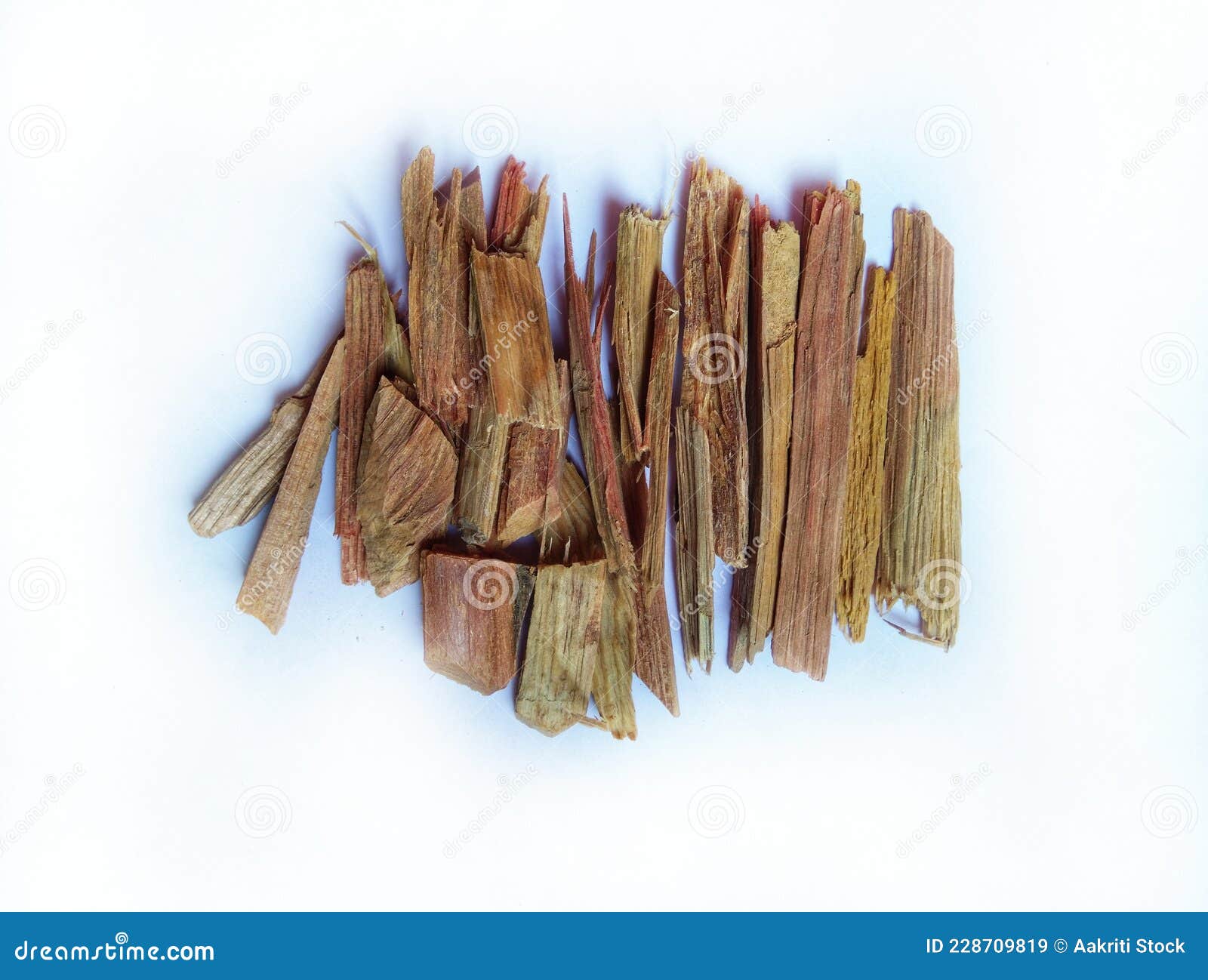 Organic Himalayan Cedar or Devadar Cedrus Deodara Chips. Stock Image ...