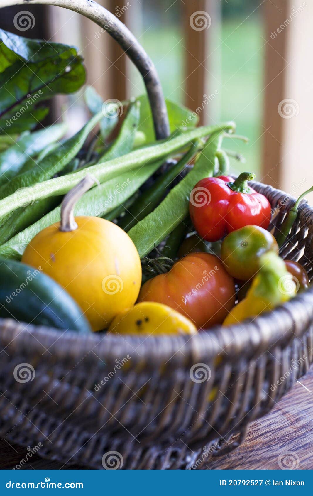 Organic Home Grown Vegetables Stock Image - Image of sufficient ...