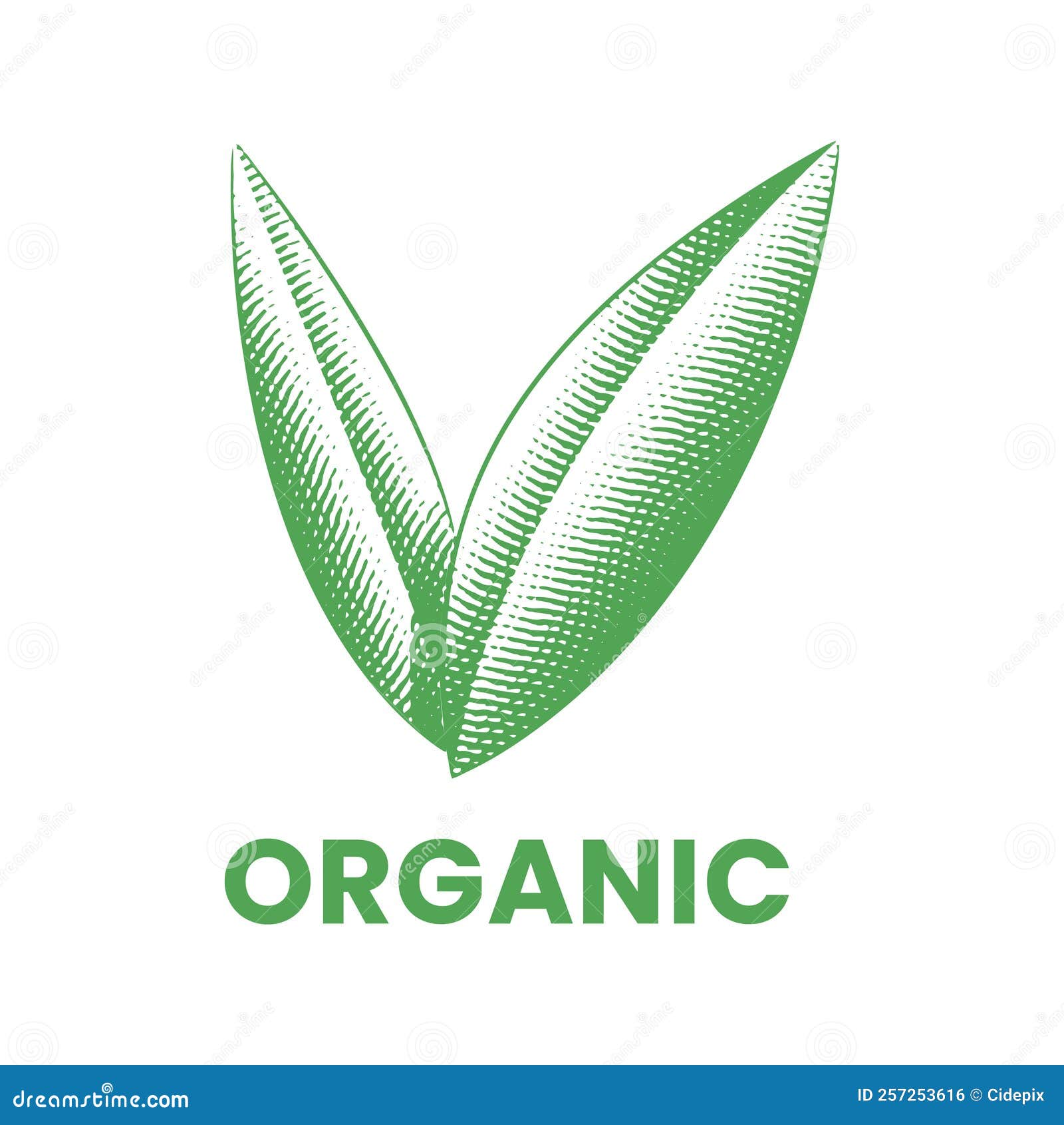 Organic Icon with Green Engraved Leaves Stock Vector - Illustration of ...