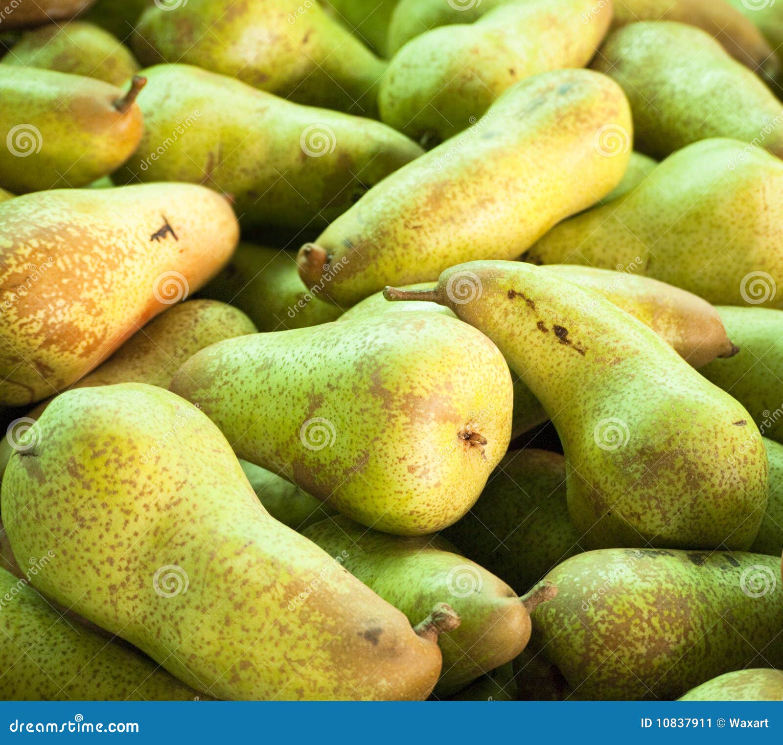 Organic Italian pears stock image. Image of sunlight - 10837911