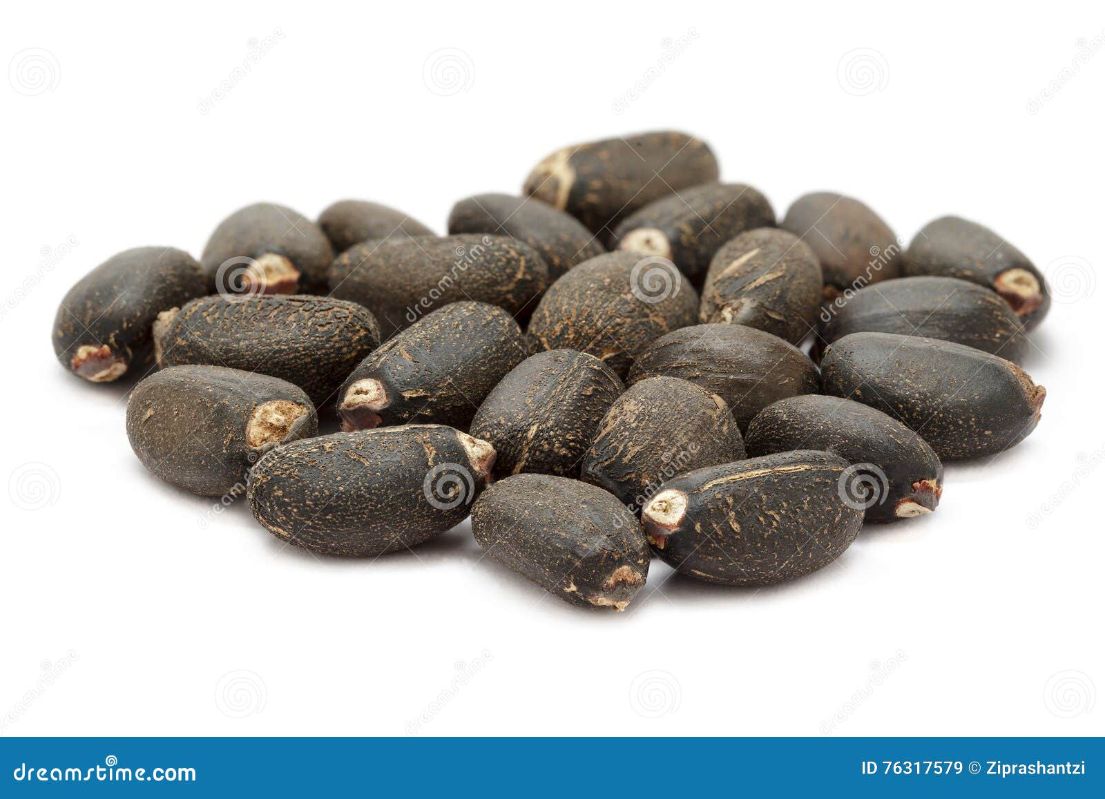 Organic (Jatropha Curcas) Seeds. Royalty-Free Stock Photo ...