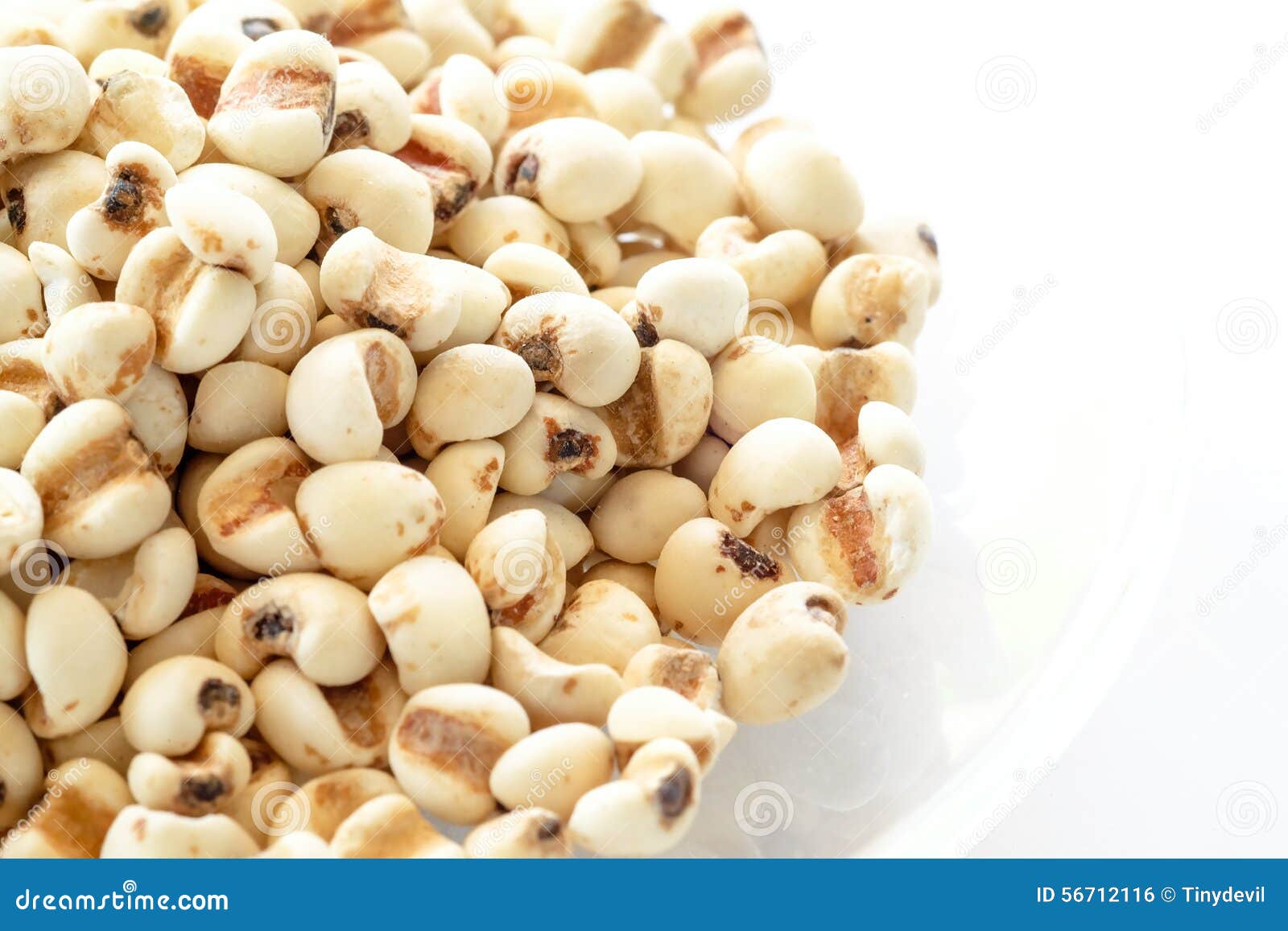 Organic Job s Tears stock photo. Image of natural, asian - 56712116