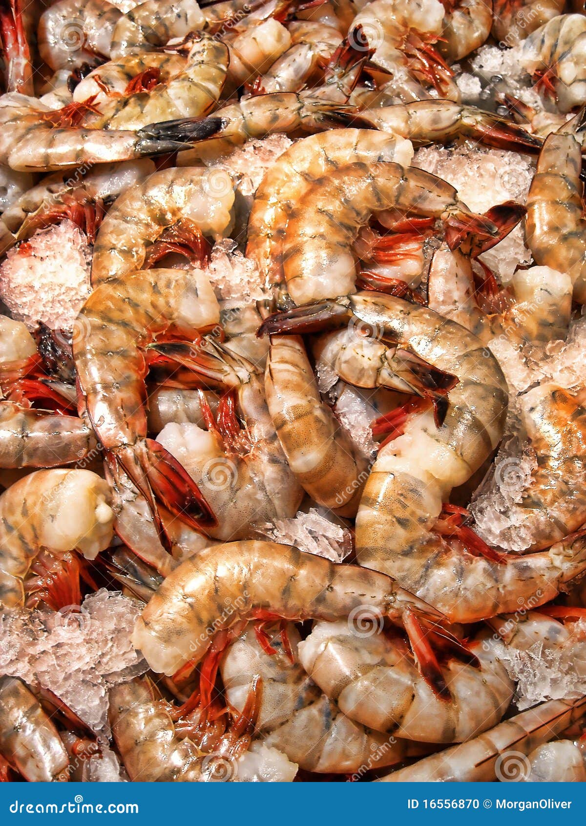 Tiger Shrimp. Prawn Isolated On A White Background. Royalty-Free Stock ...