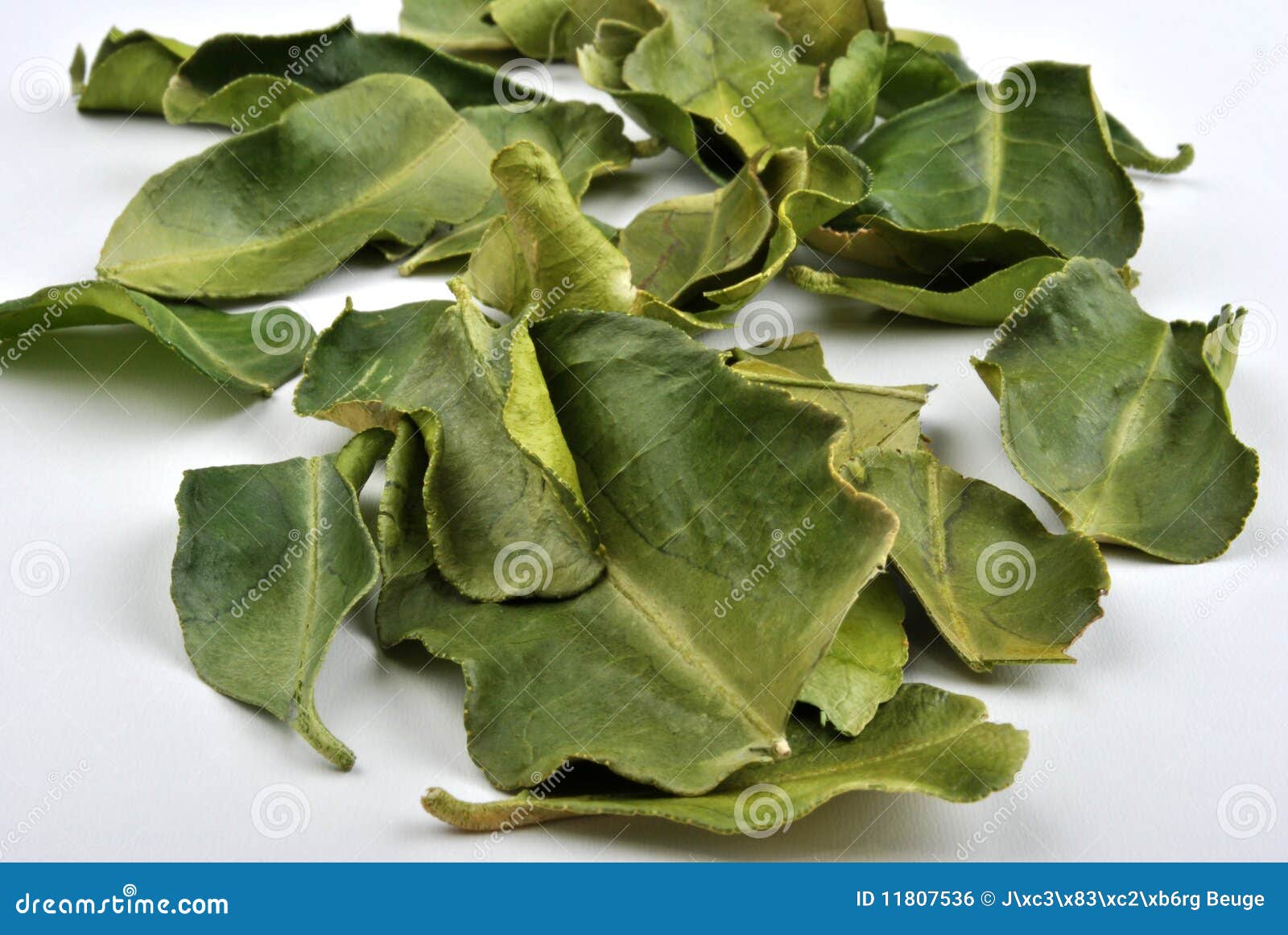 Organic kaffir lime leaves stock photo. Image of fresh - 11807536