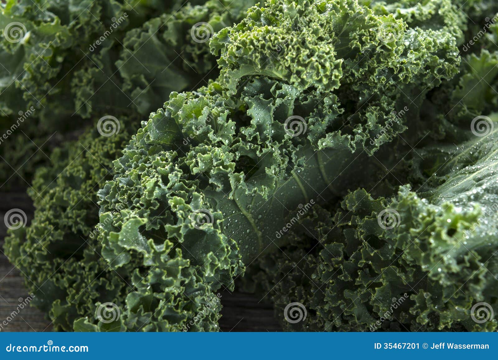 Organic Kale stock image. Image of cabbage, lowglycemic - 35467201
