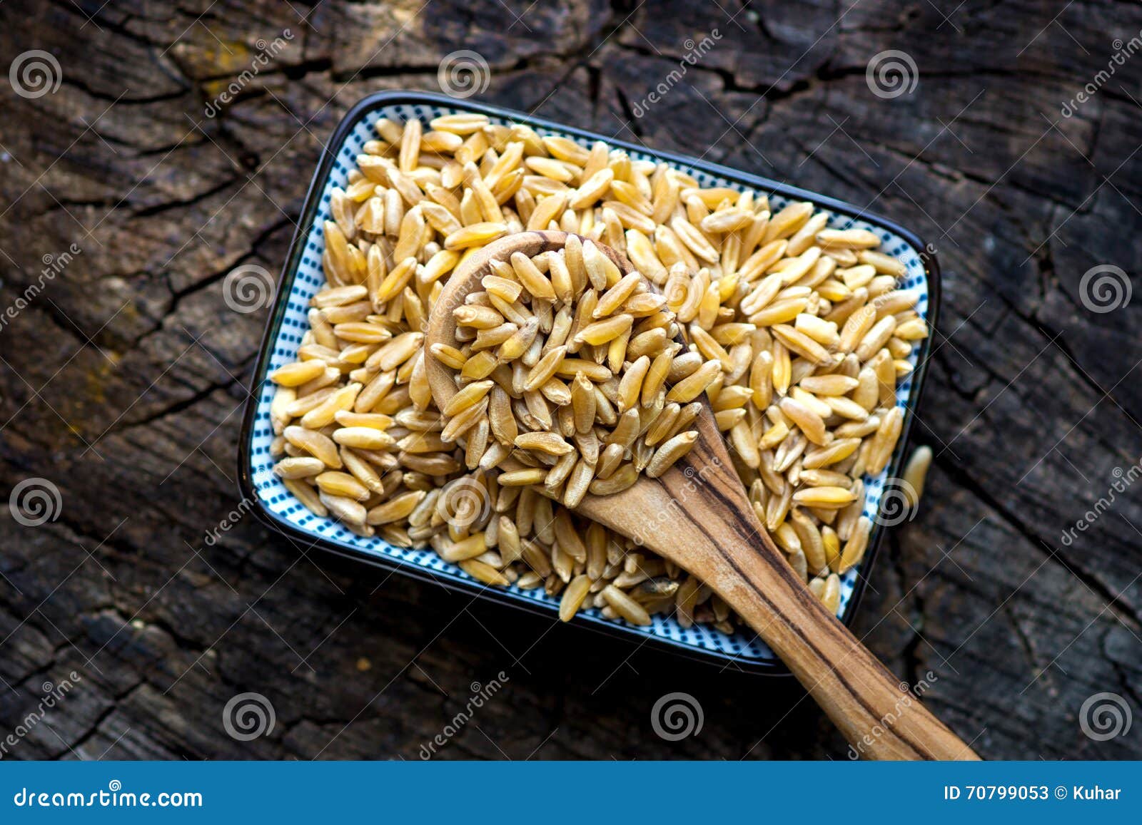 Organic Kamut grain stock image. Image of meal, diet - 70799053