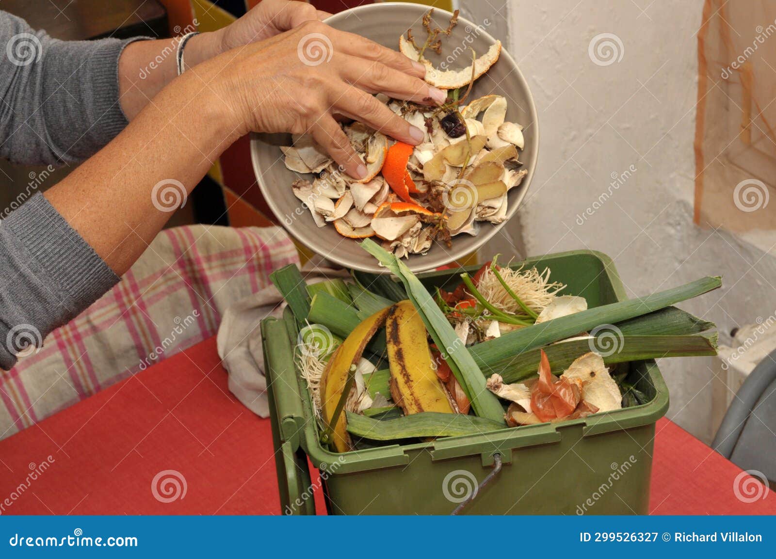 Organic Kitchen Waste with Vegetable and Fruit Peelings Placed in a ...