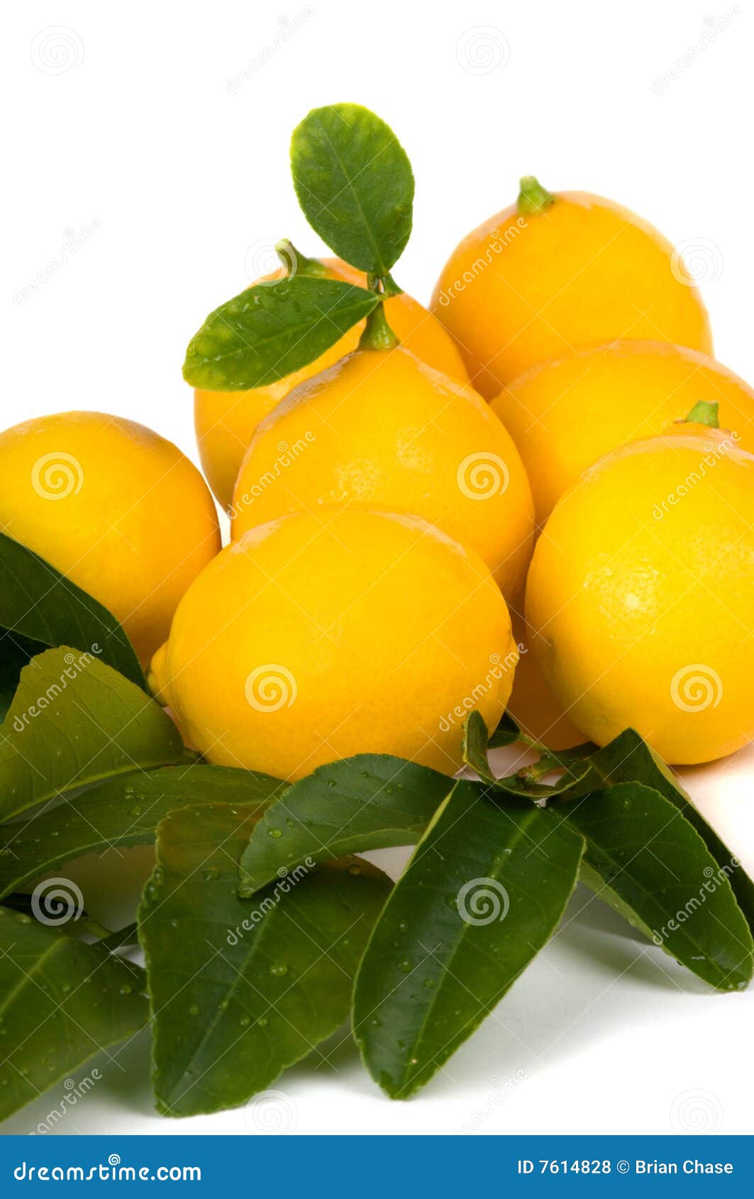Organic Lemons stock photo. Image of aromatic, acid, lemons - 7614828