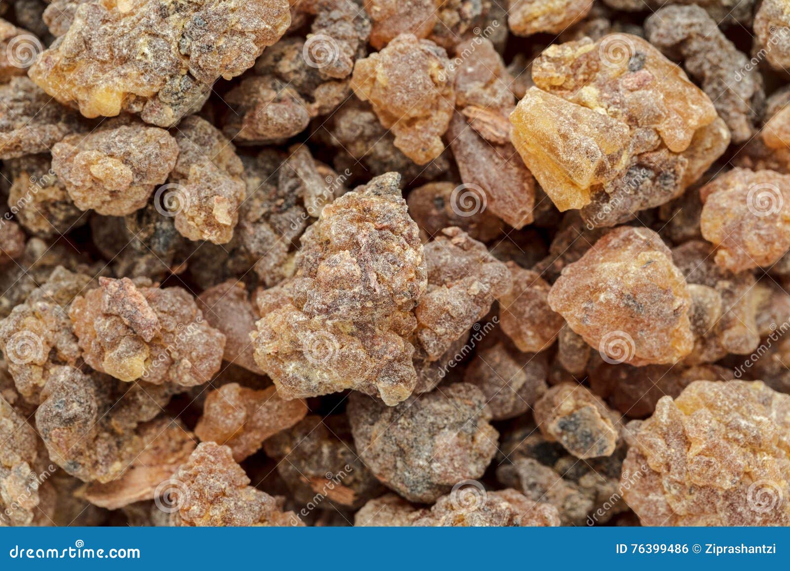 Benzoin Styrax Tree Stock Photos - Free & Royalty-Free Stock Photos ...