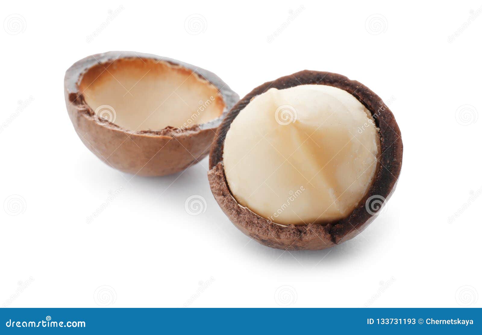 Organic Macadamia Nut and Shell Stock Image - Image of protein, food ...