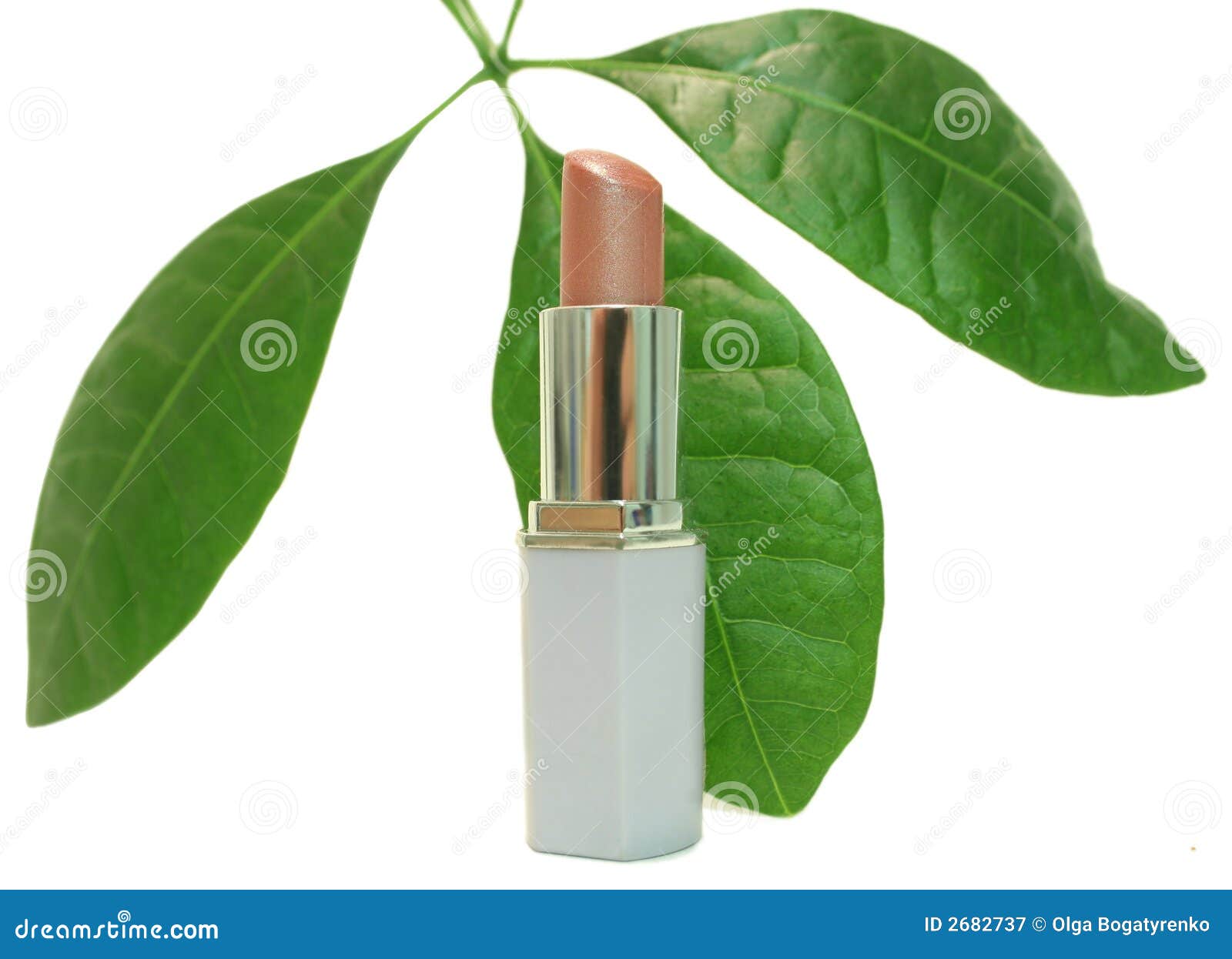 Organic Make Up stock image. Image of clean, organic, makeup - 2682737