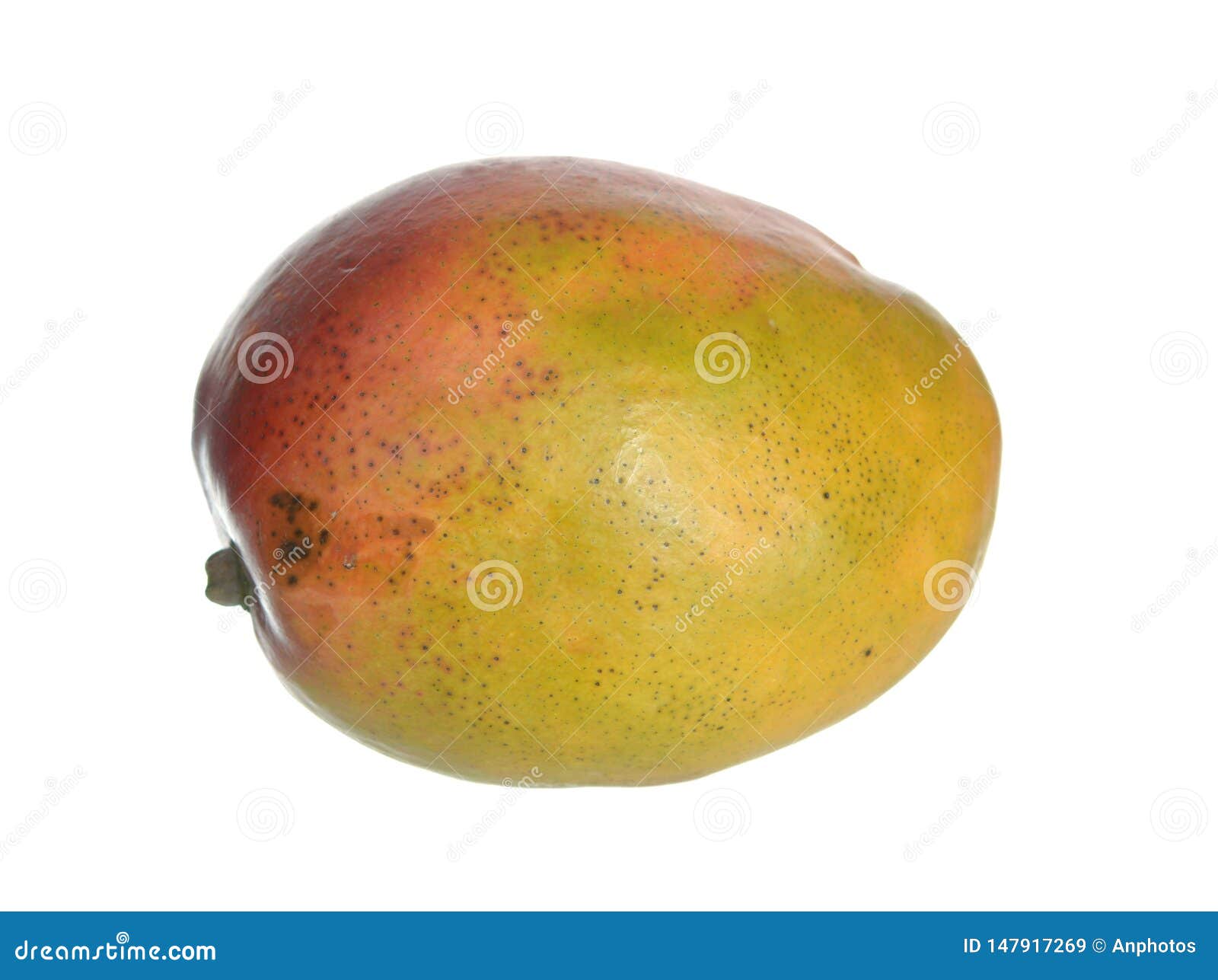 Organic mango stock image. Image of sweet, single, nutrition - 147917269